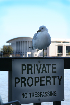 What Is the Meaning of "Immovable Property"?