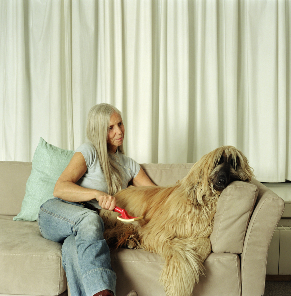 How to Minimize Dust and Hair in a Multiple Dog Home