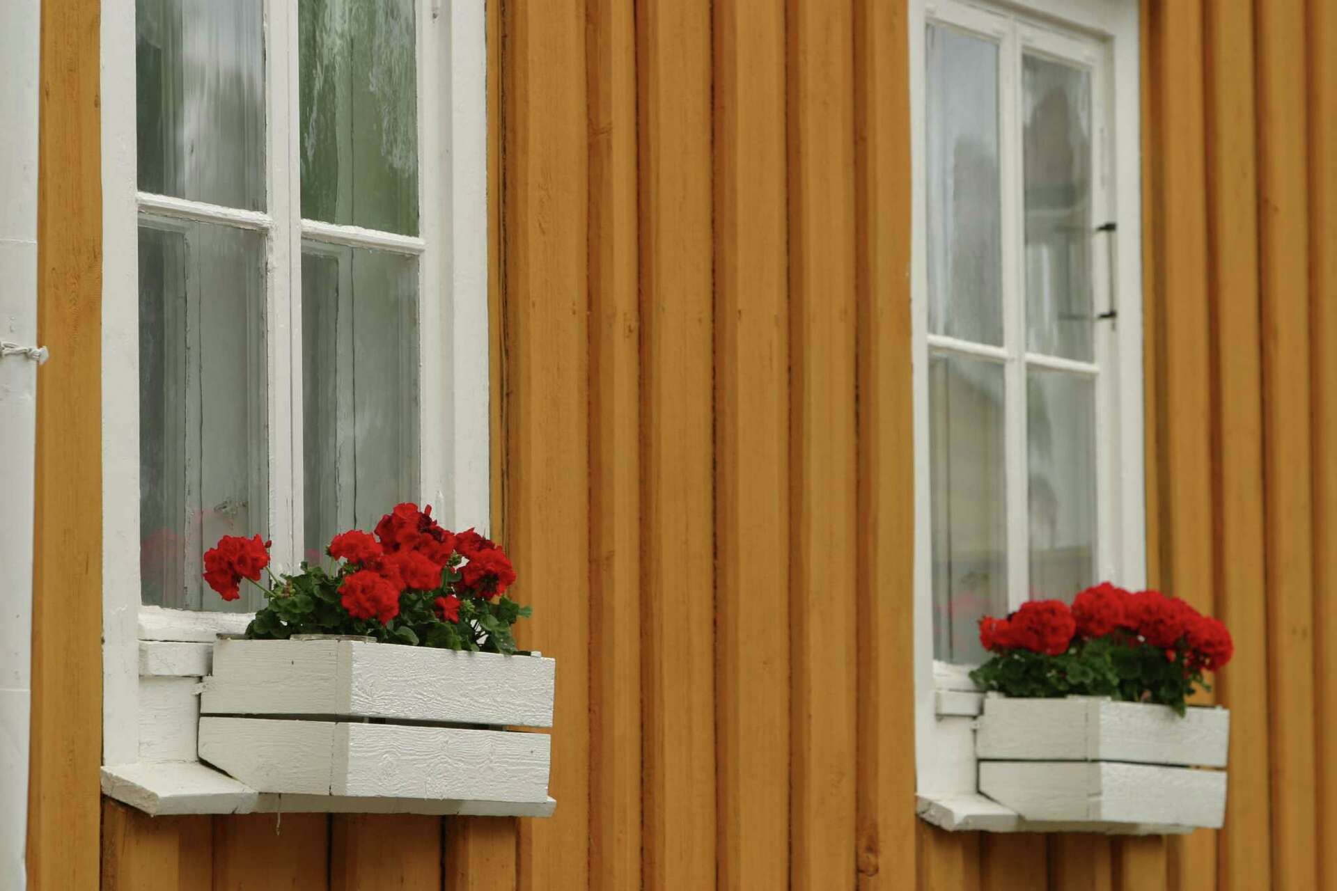 How to Prepare T111 Rough Plywood Siding for Repainting