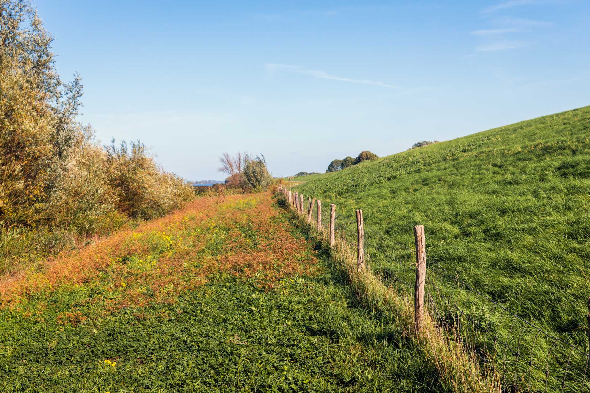 A Straight Fence Using a String