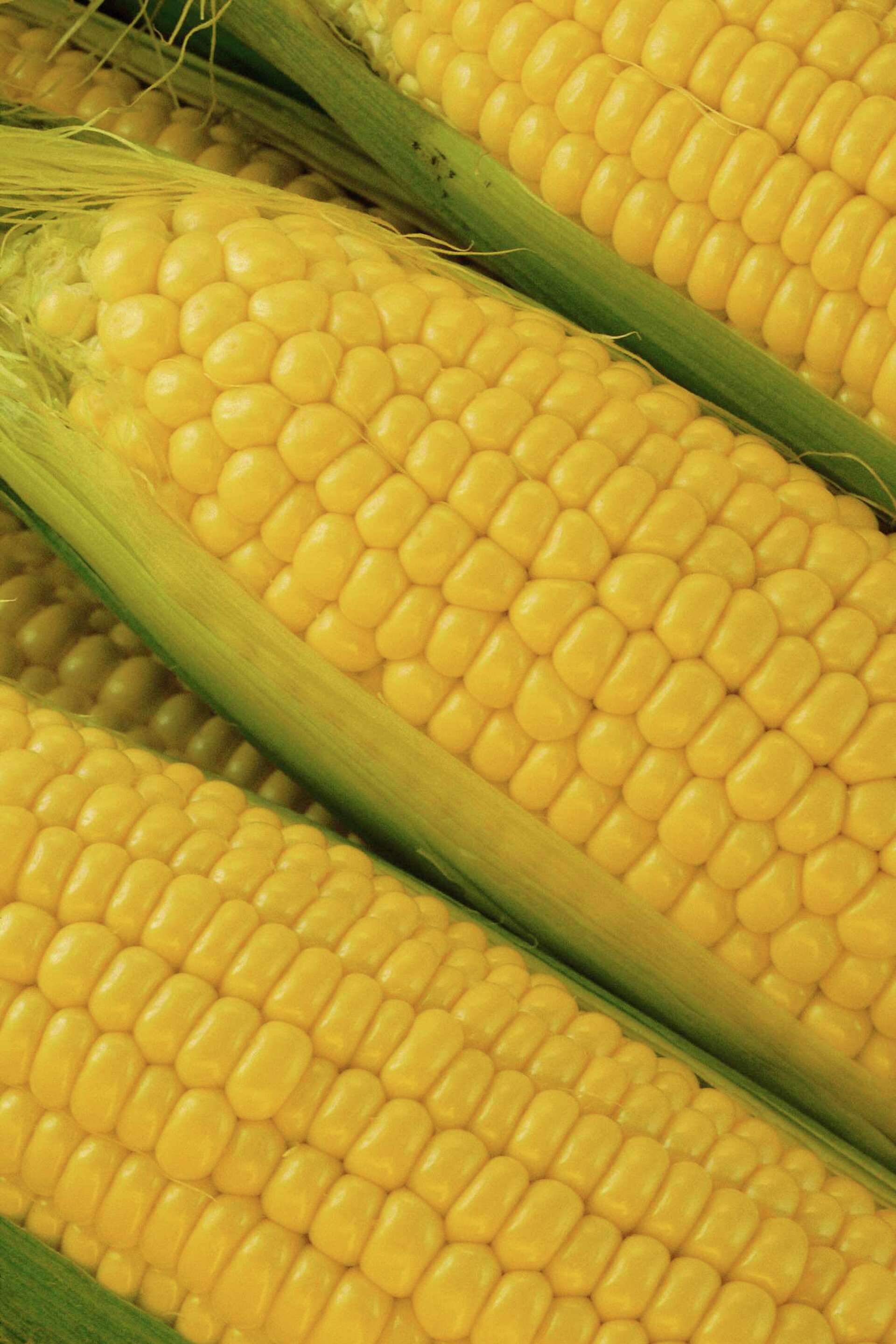 Sweet Corn Planting & Growing Guide