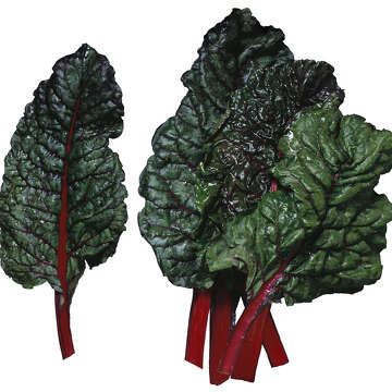 What Type of Bugs Eat a Swiss Chard Plant?