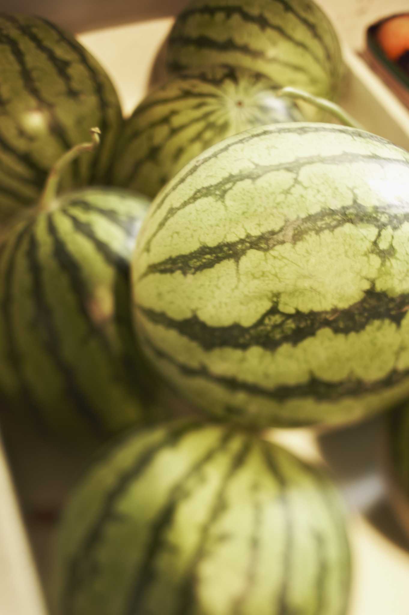 The Best Tasting Small Watermelons for a Garden