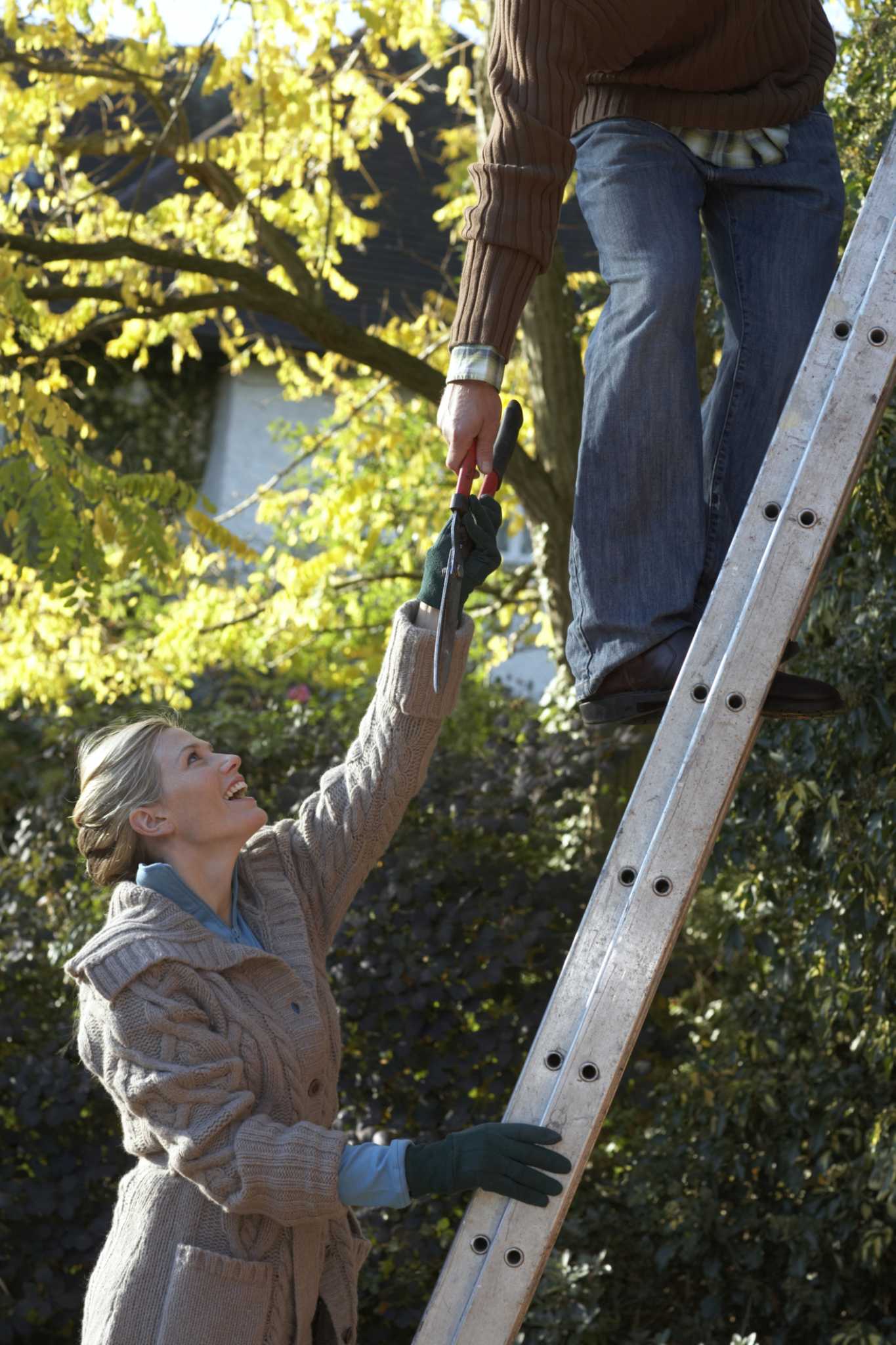 Techniques to Handle a Tall Ladder
