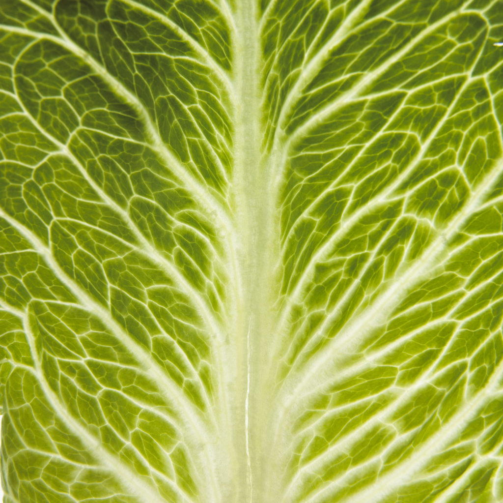 How to Tell If a Guava Is Ripe?