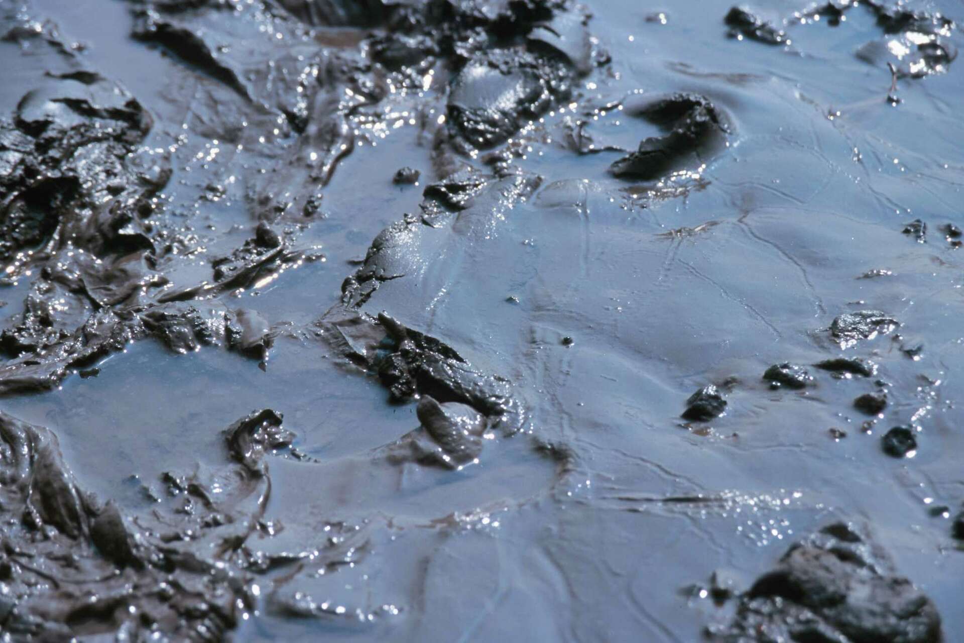 How to Tell If Your Septic System Is Backing Up
