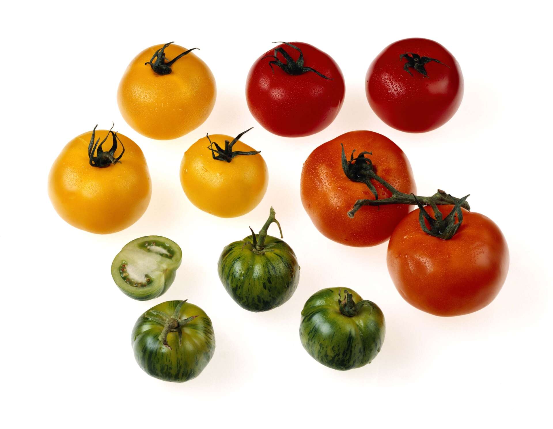 The Best Yellow Tomato Varieties