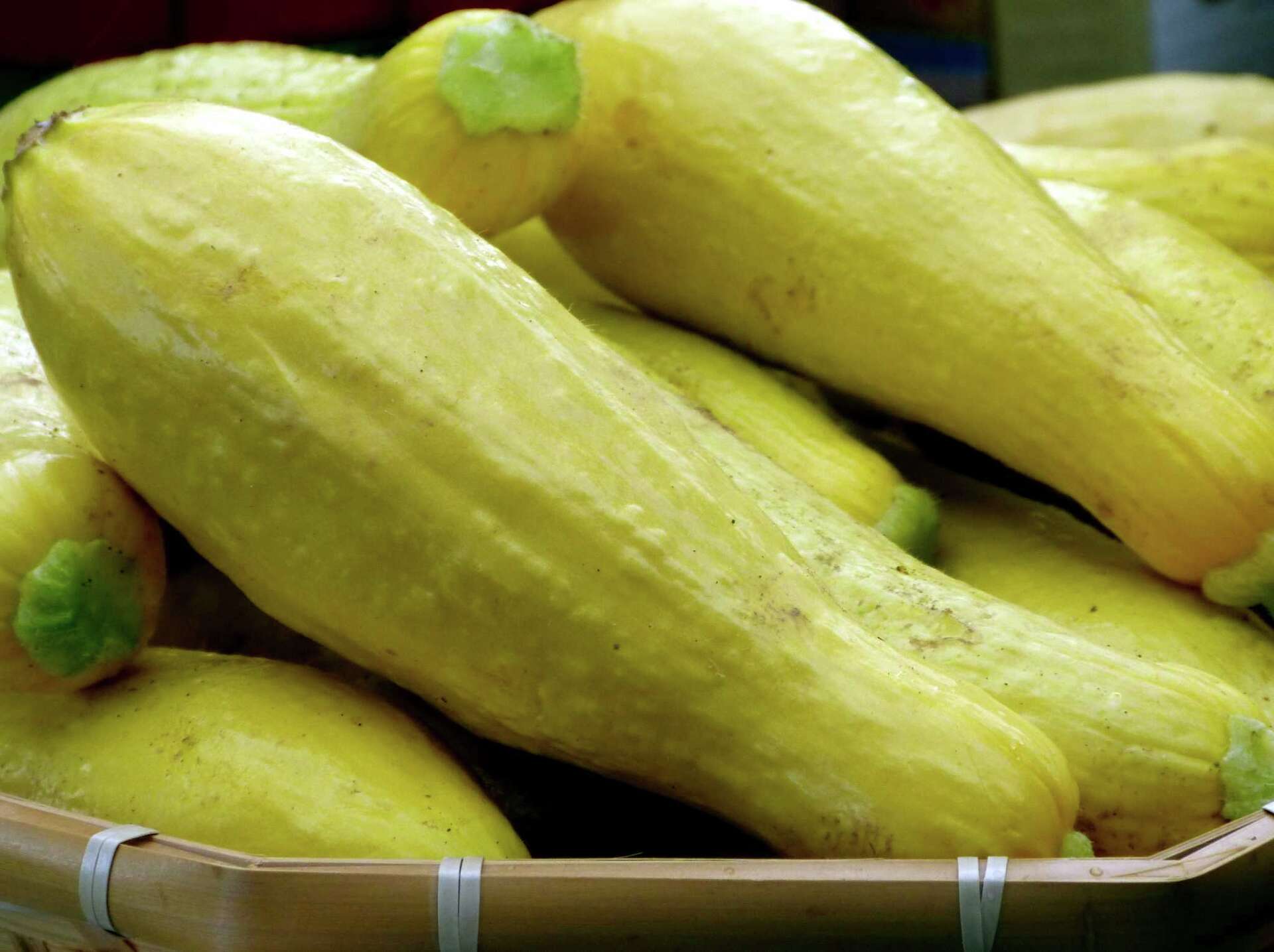 How to Tell If a Yellow Squash Is Ready to Harvest?