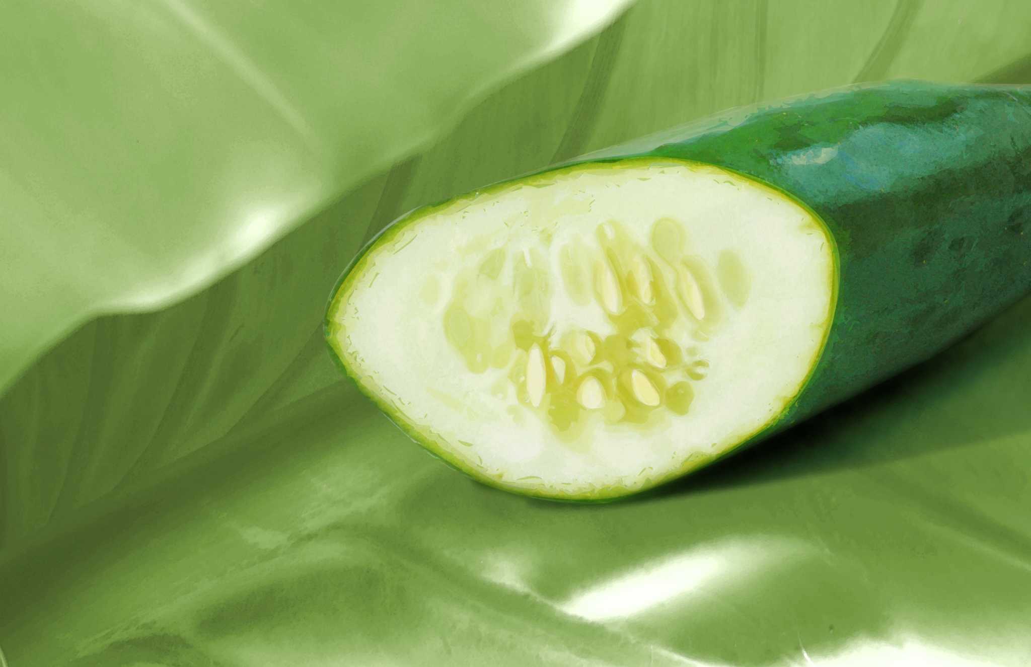 Natural Spray for Cucumber Beetle Bugs