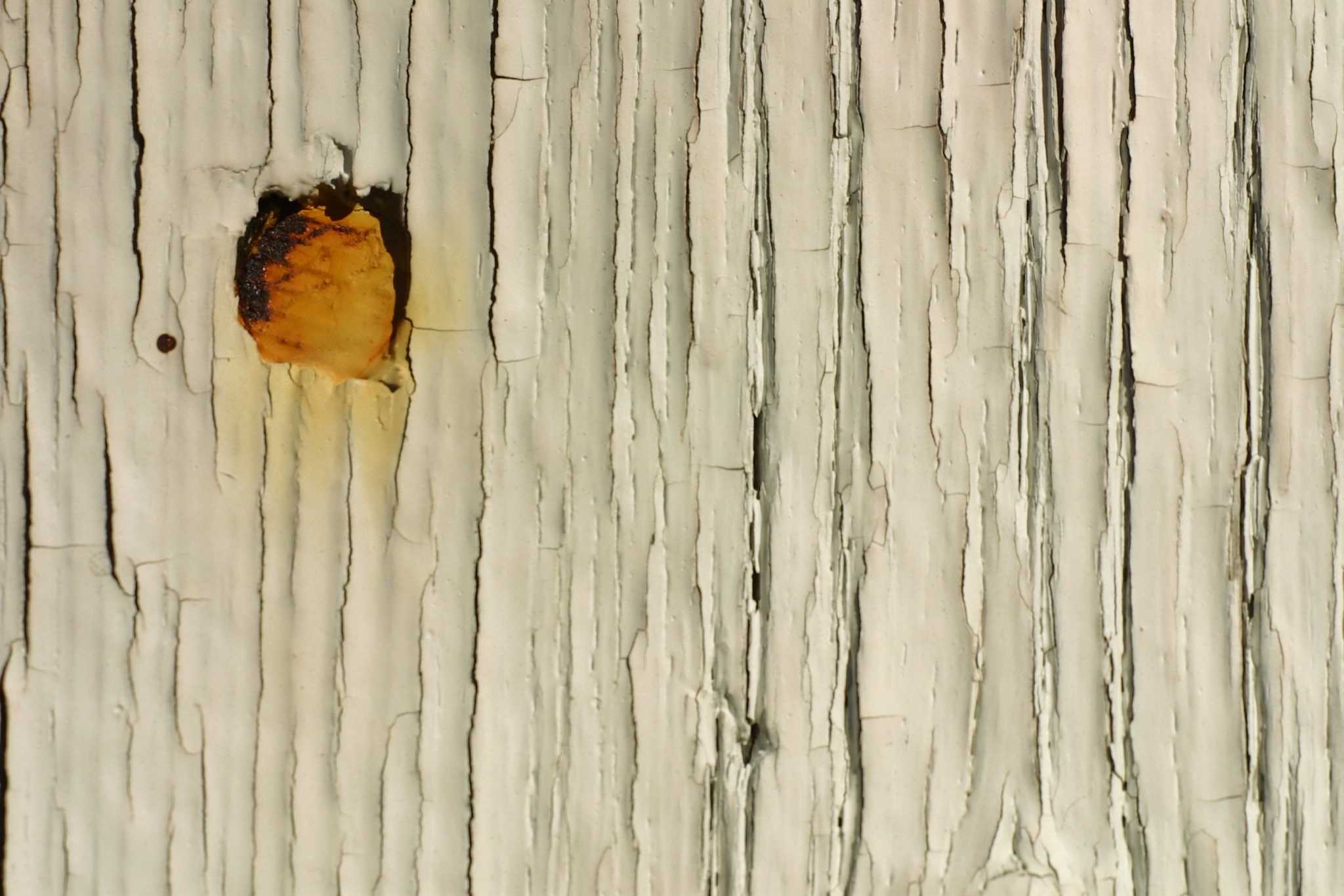 Natural Ways to Control Rust on Plants