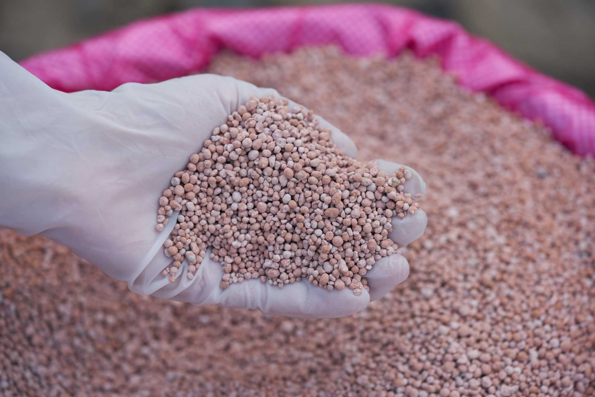 the-negative-effects-of-nitrogen-rich-fertilizer-to-the-environment