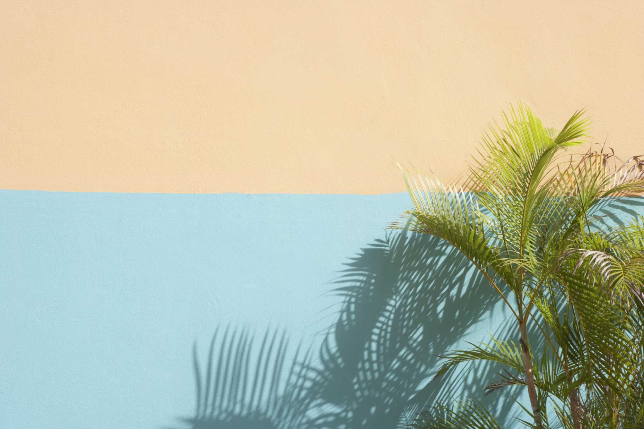 How to Neutralize Aqua Color Walls