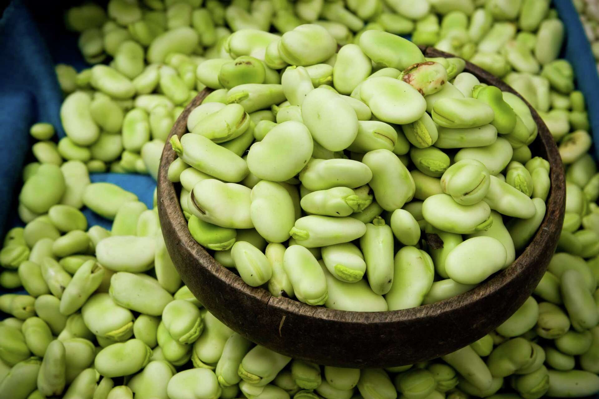 The Best Time to Plant Fava Beans