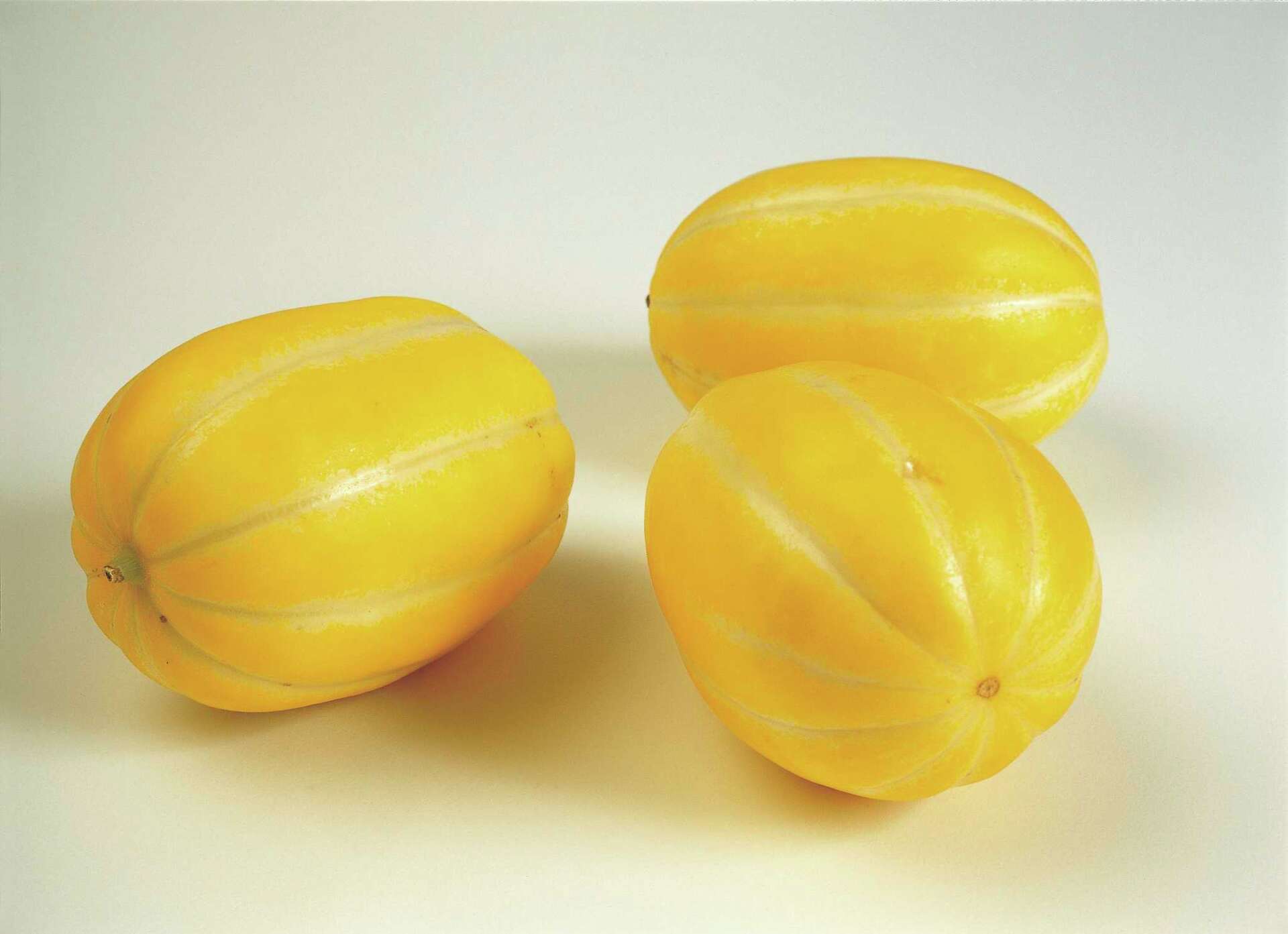 Tips for Growing Silverline Melons