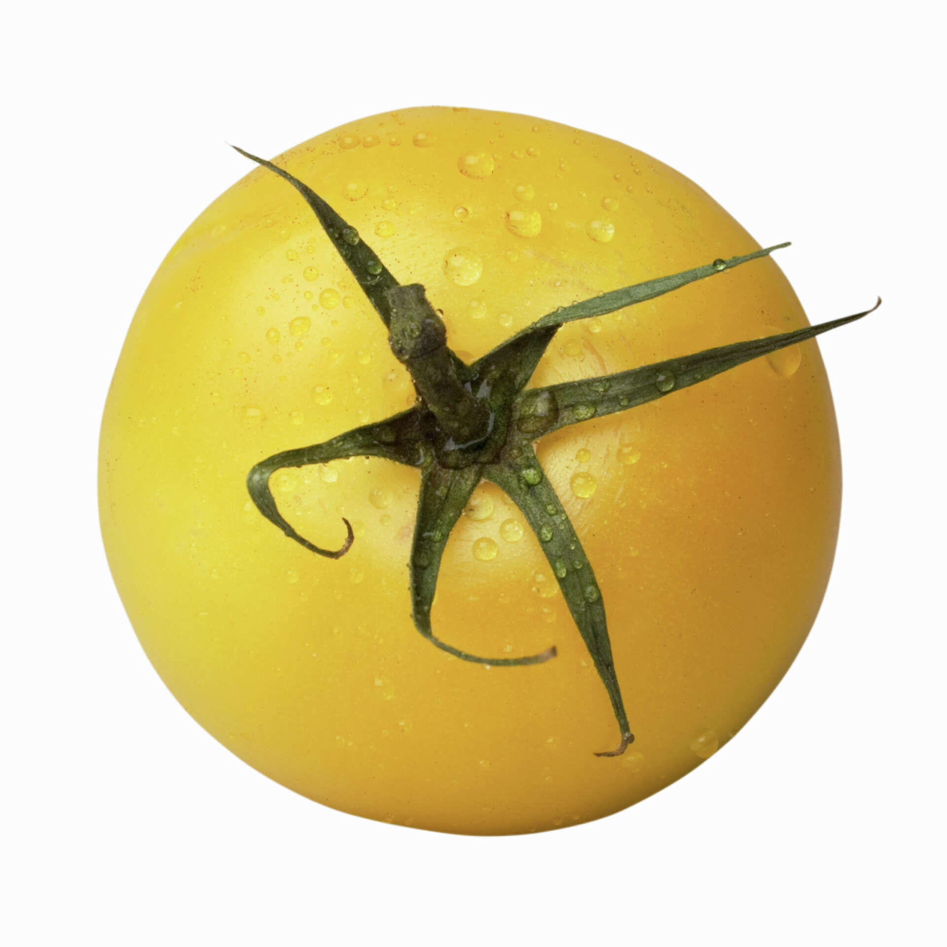 Tomato Varieties With Low Acidity