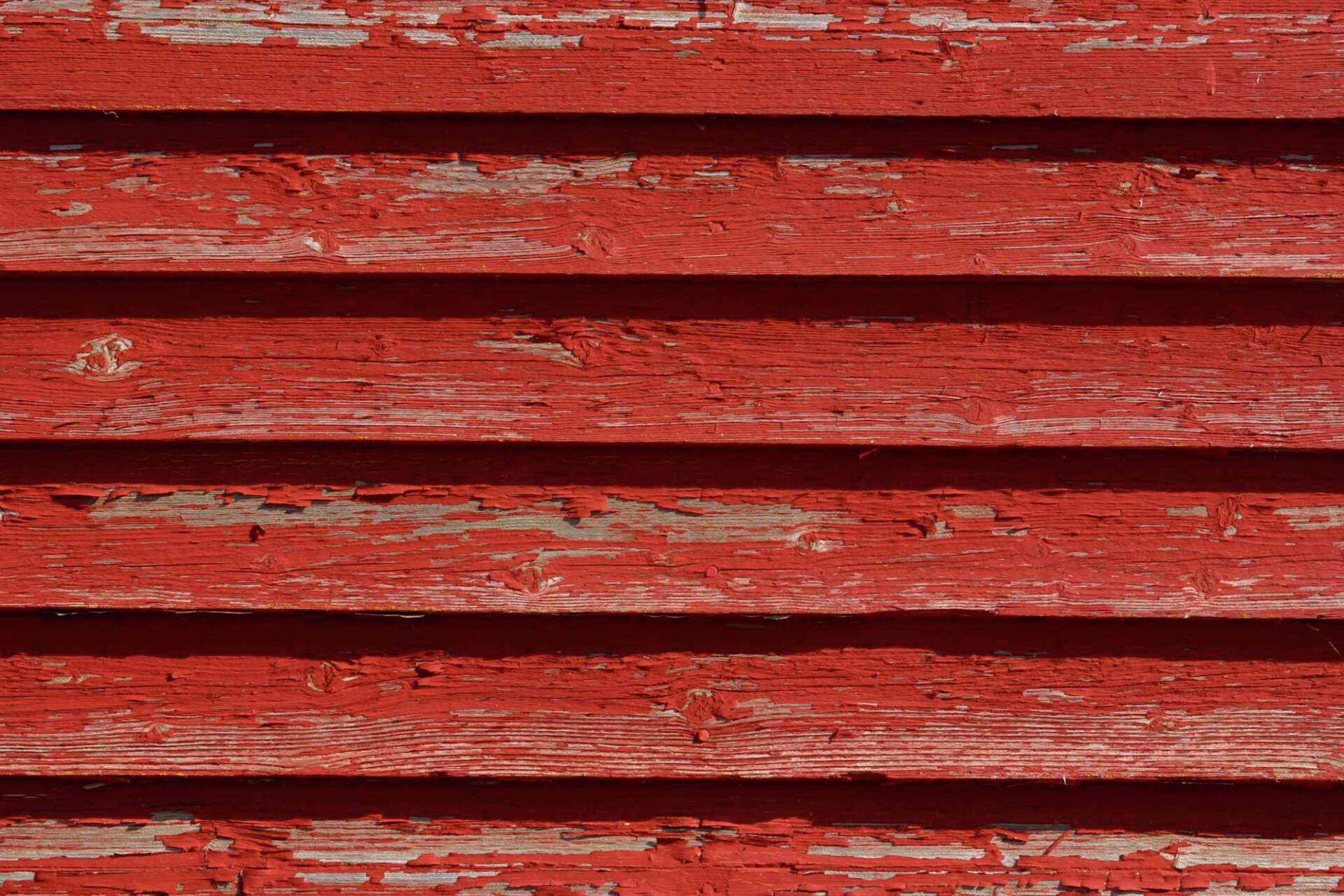 Paint Adhesion Failures