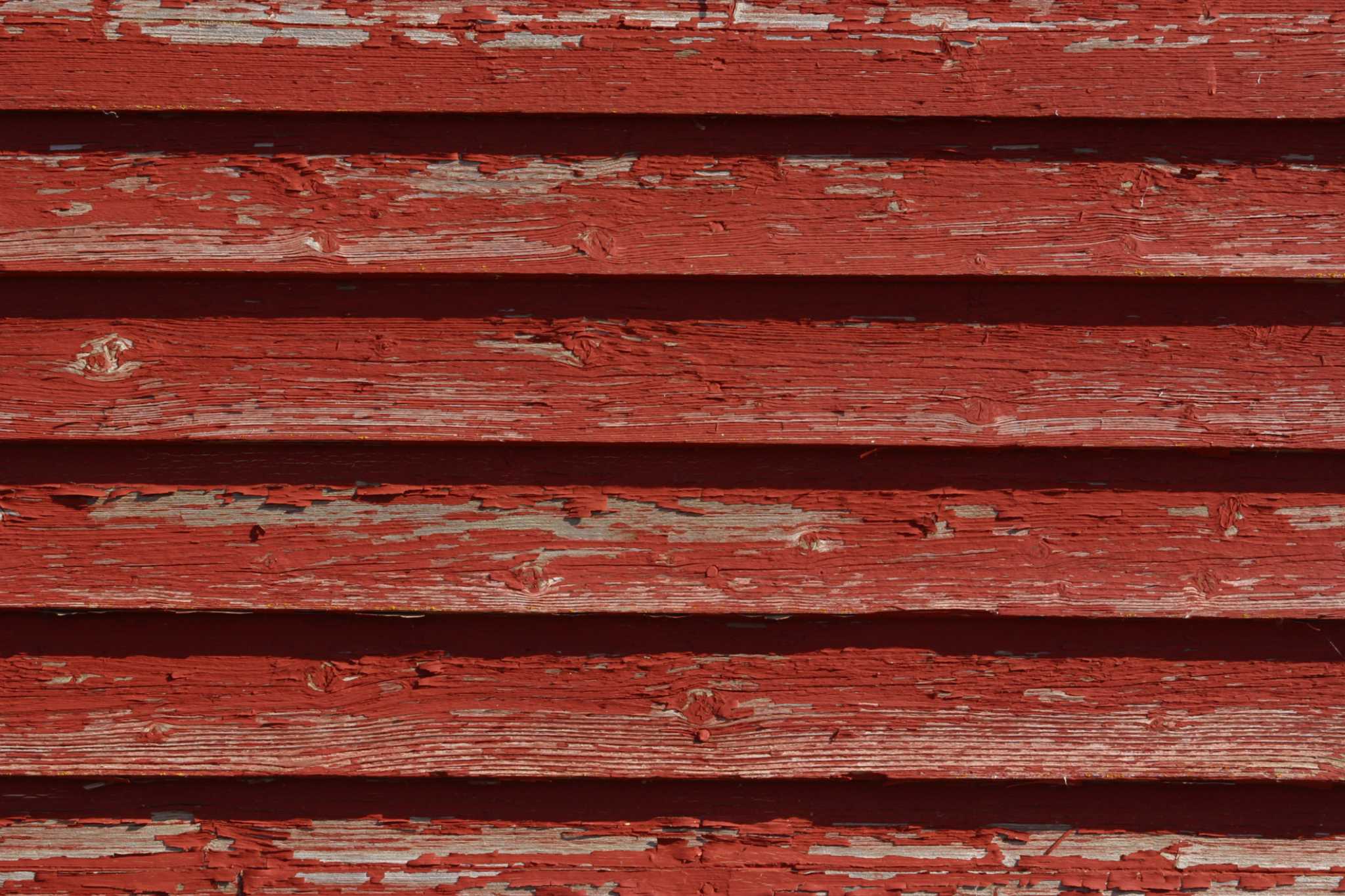 Paint Adhesion Failures