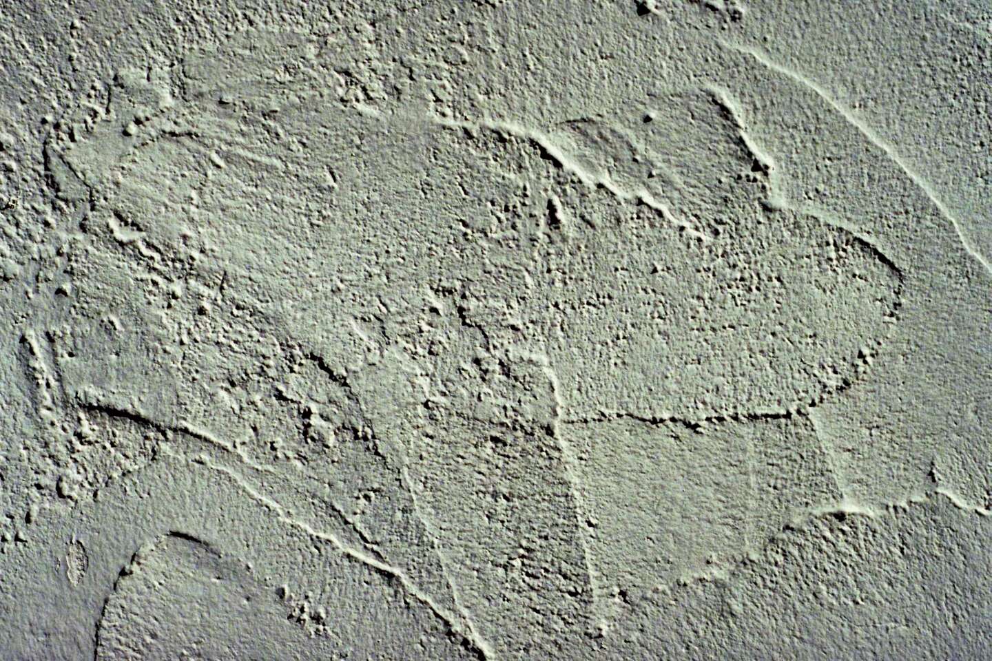 Painting Ideas to Make Walls Look Rustic