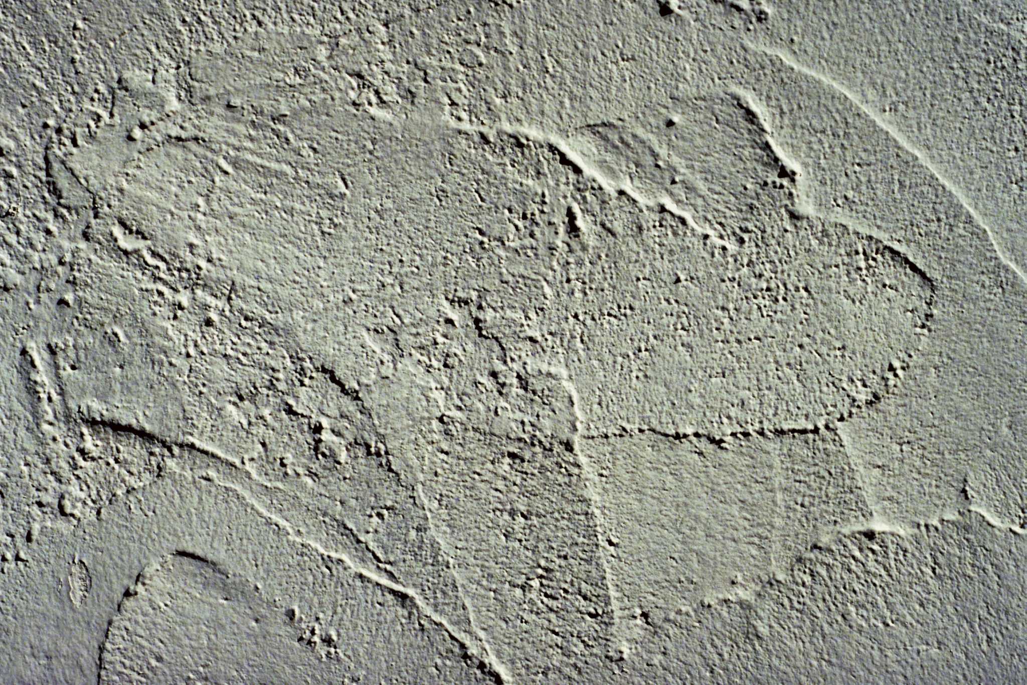 Painting Ideas to Make Walls Look Rustic