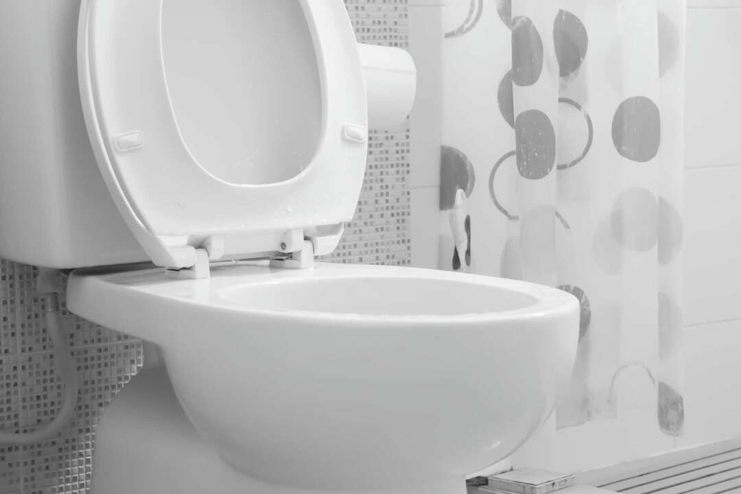 How to Fix a Toilet Flapper That's Not Sealing