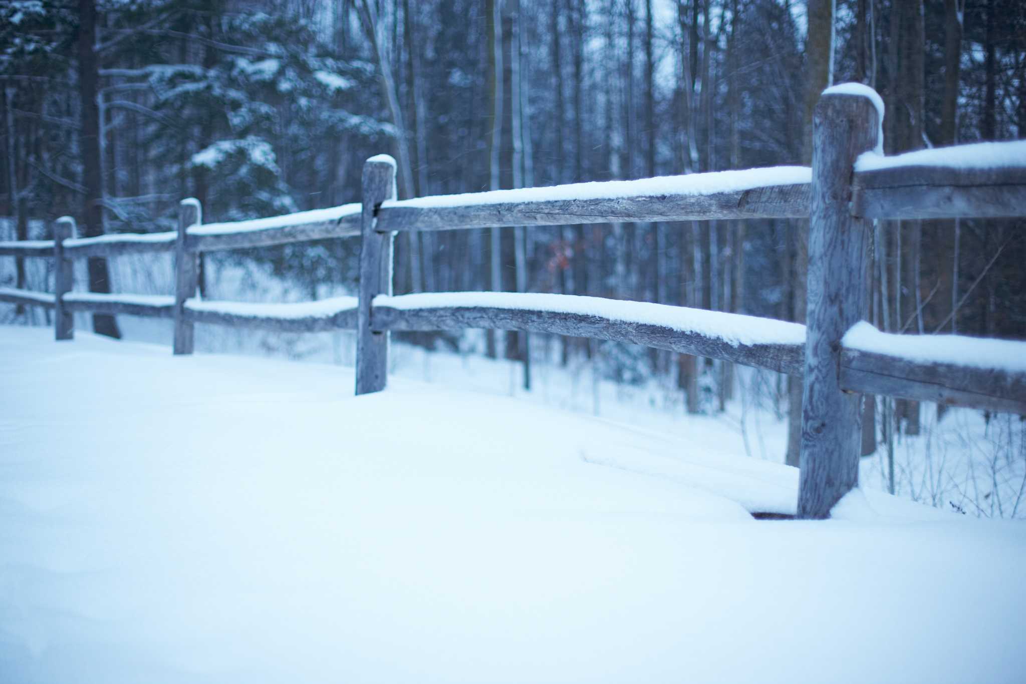 How to Treat a Weathered Split-Rail Fence