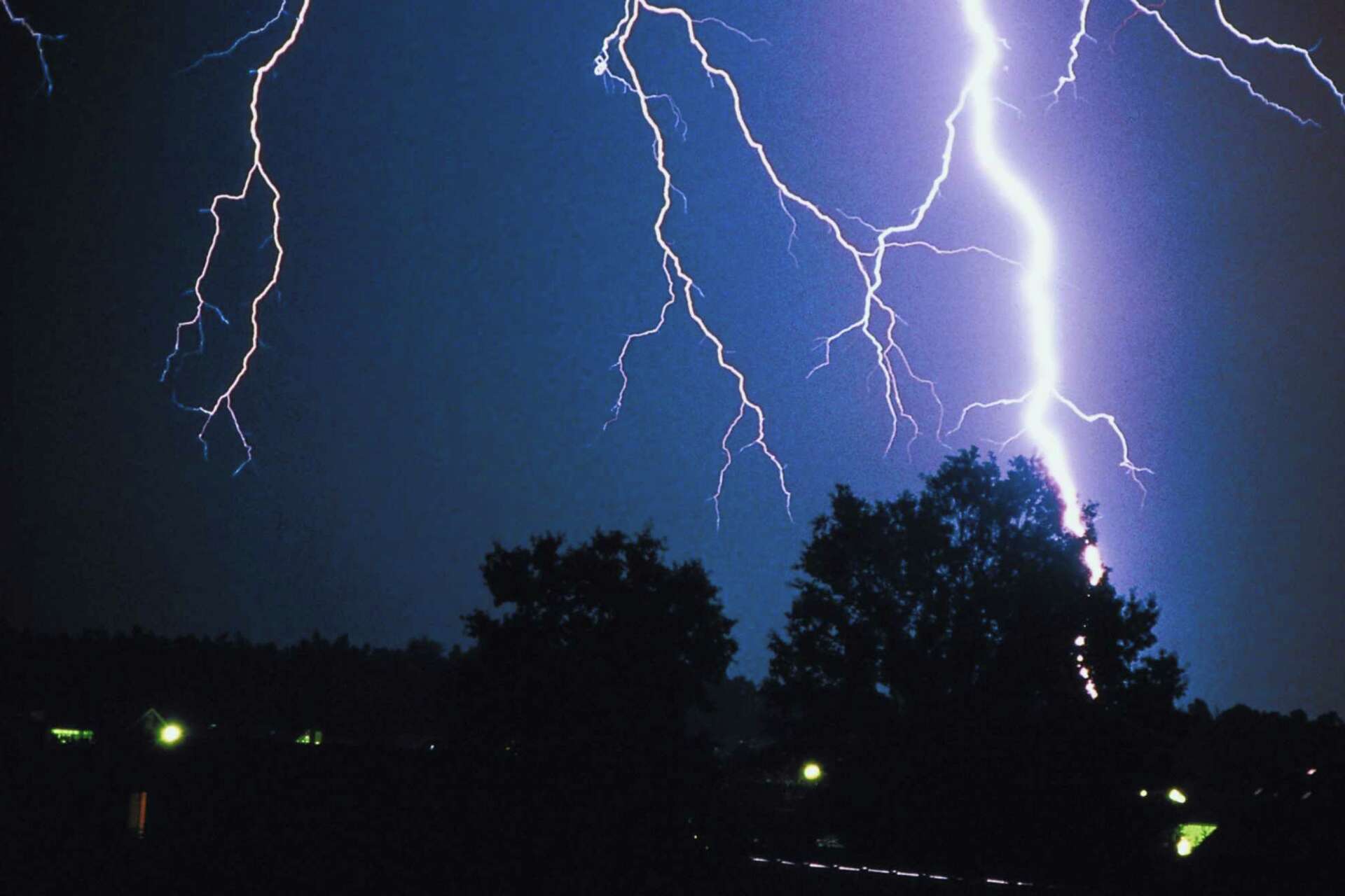 Tree Damage From a Lightning Strike