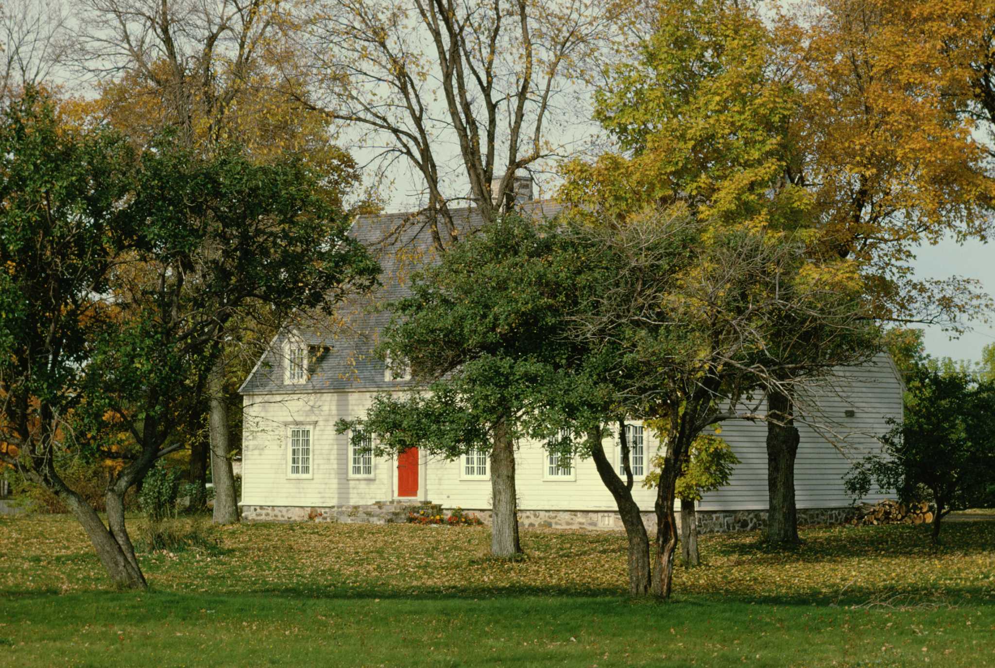 Tree Distance for Solar Gain