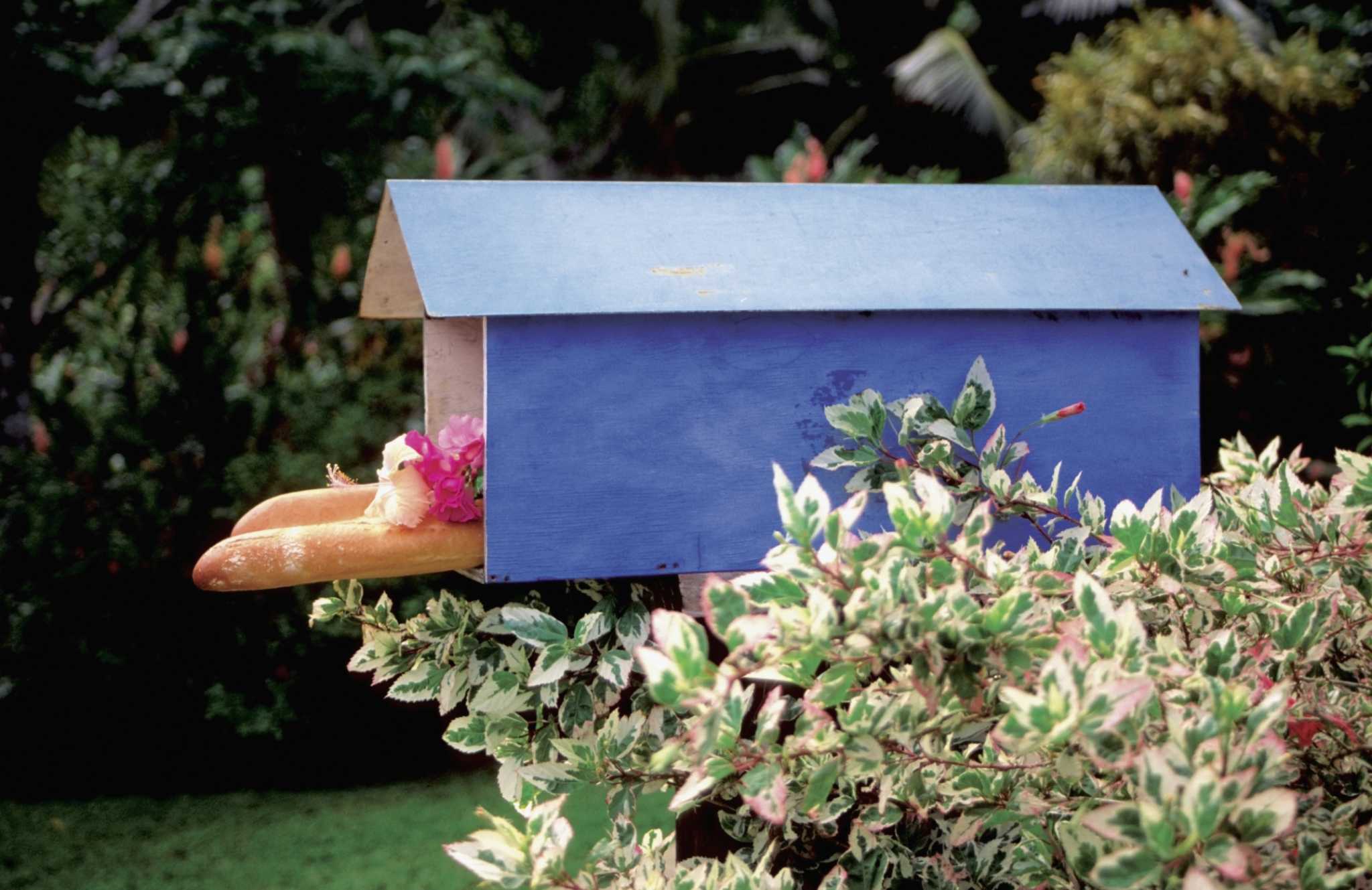 Perennials for Planting Around Mailboxes