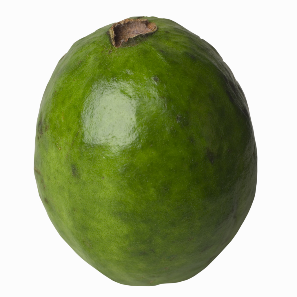 Tropical & Deciduous Fruit Crops