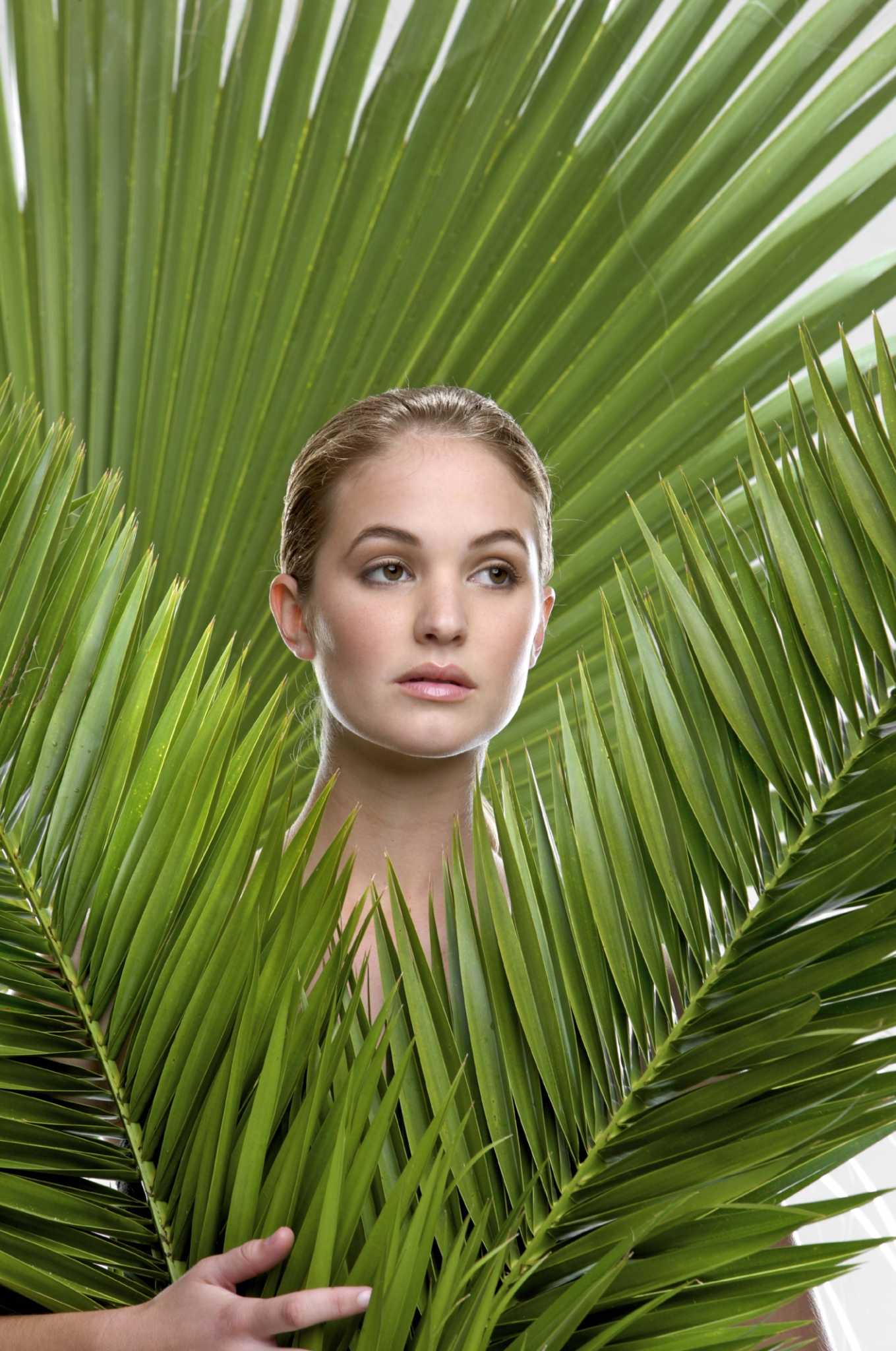 Tropical Large Leaf Plants tropical-large-leaf-plants