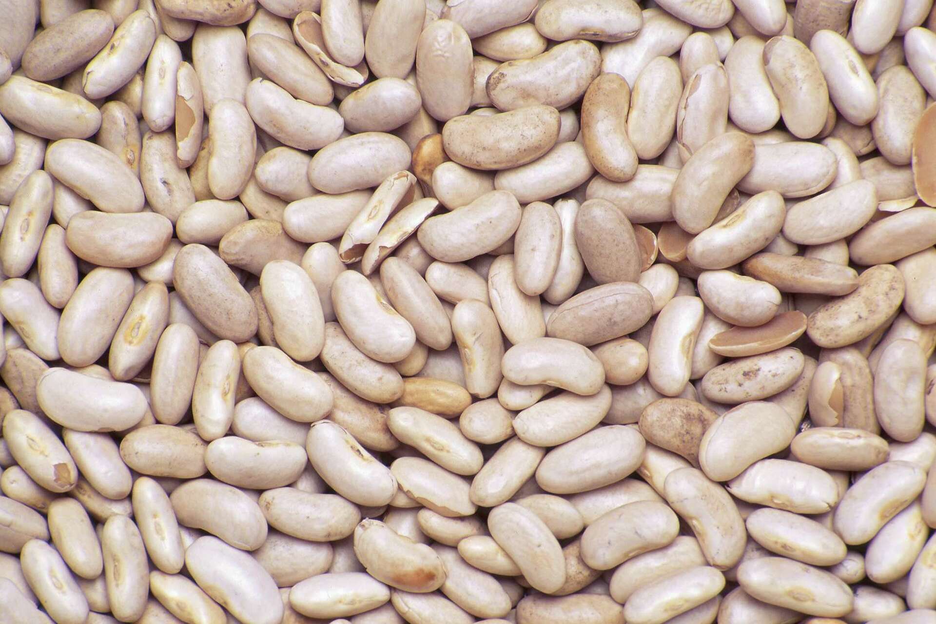 How to Pick & Preserve White Beans