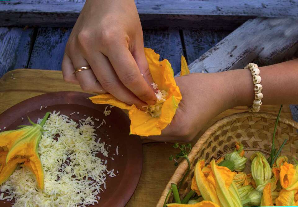 How to Pick Zucchini Flowers