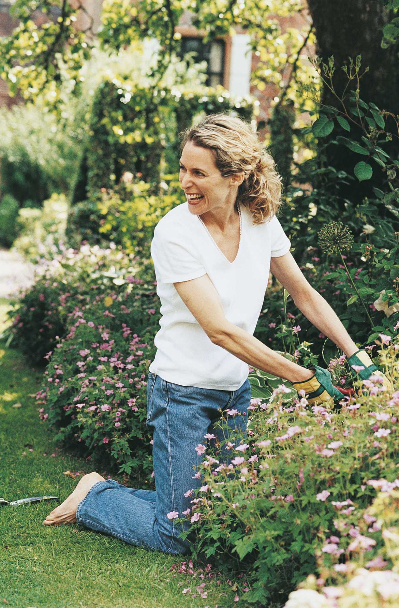 How to Pinch Back Perennials