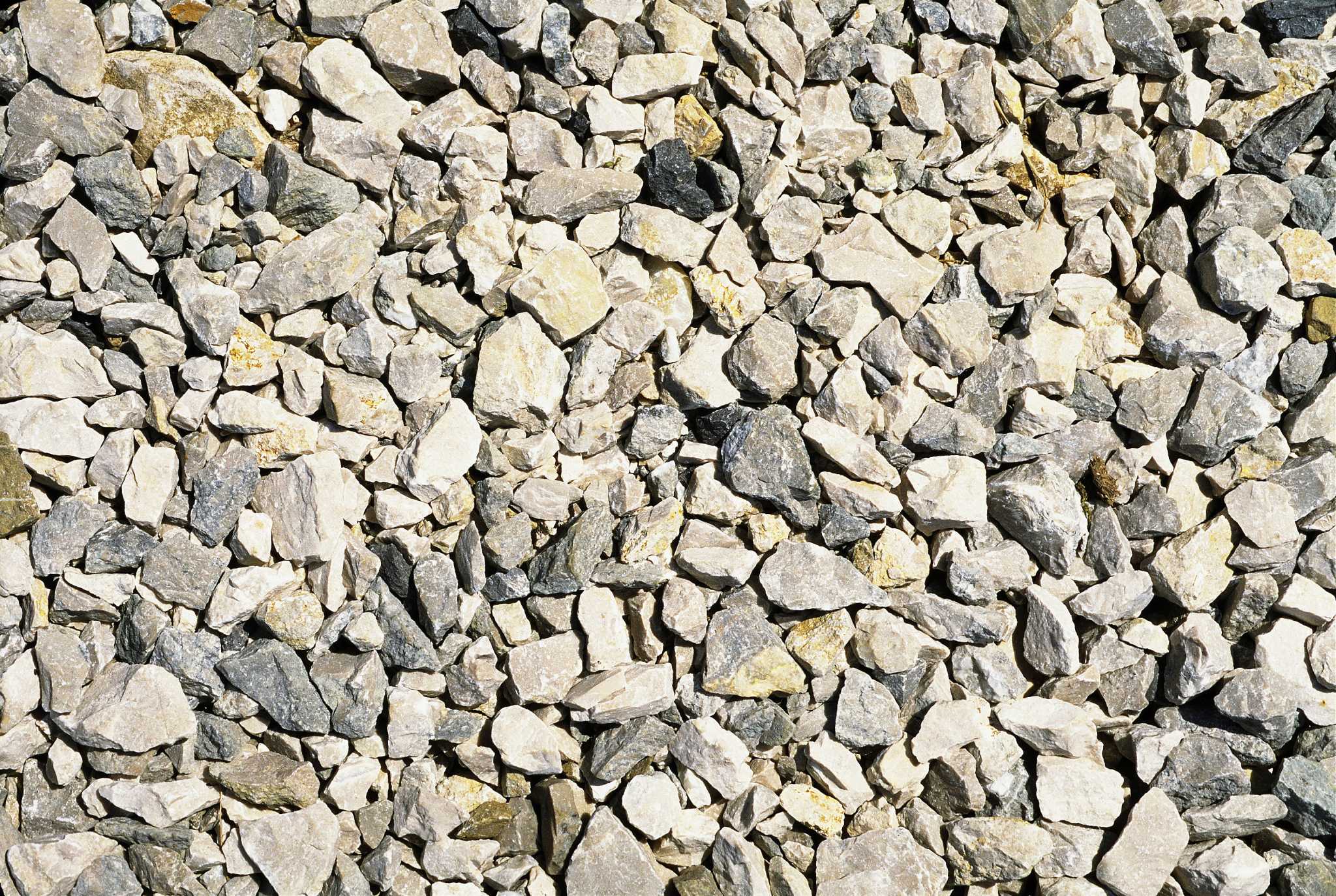 Placing Gravel Around a Live Oak Tree