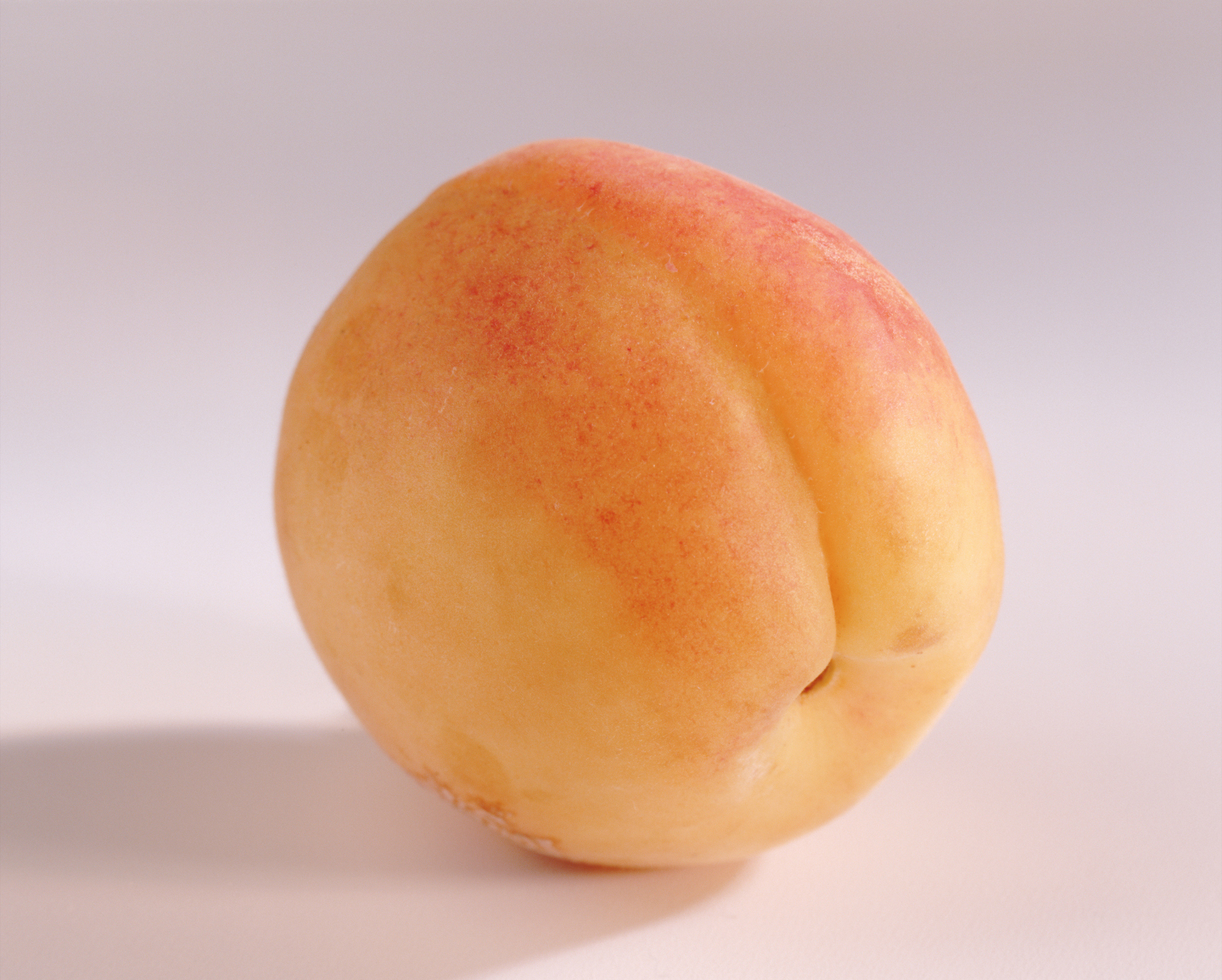 How to Plant an Apricot Kernel