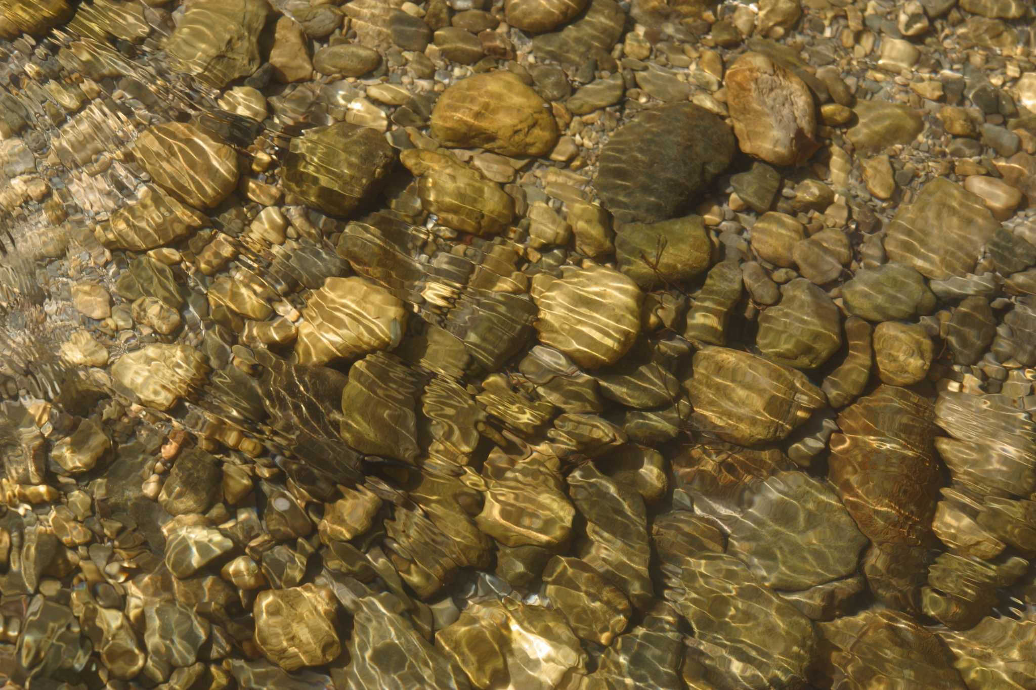 Plant Care with River Stone Rocks