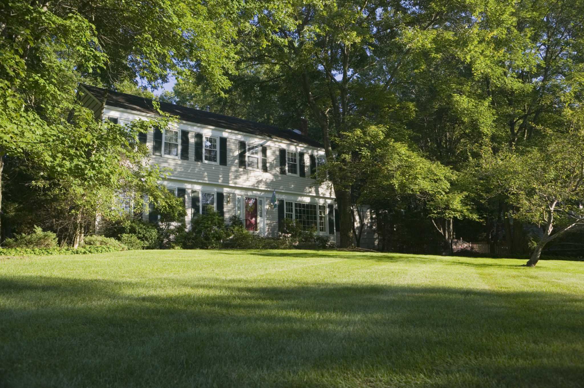 How to Plant a Grancy Greybeard