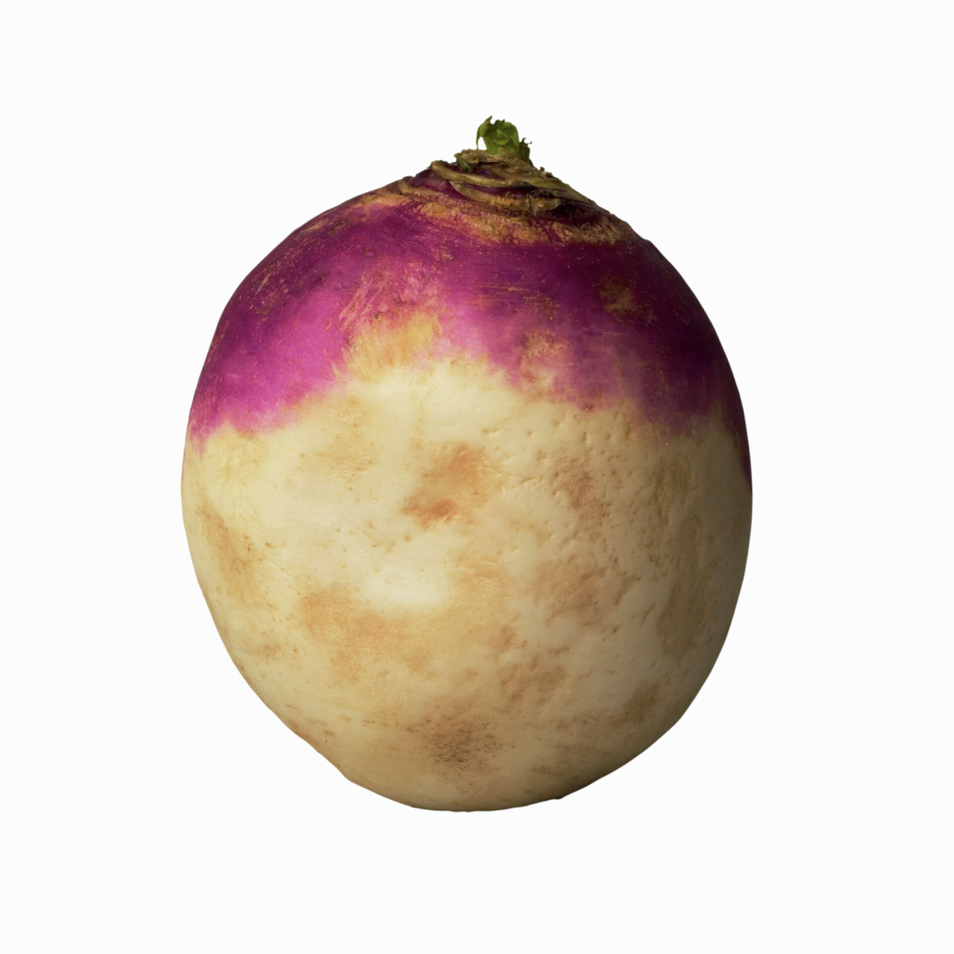 Types of Rutabaga