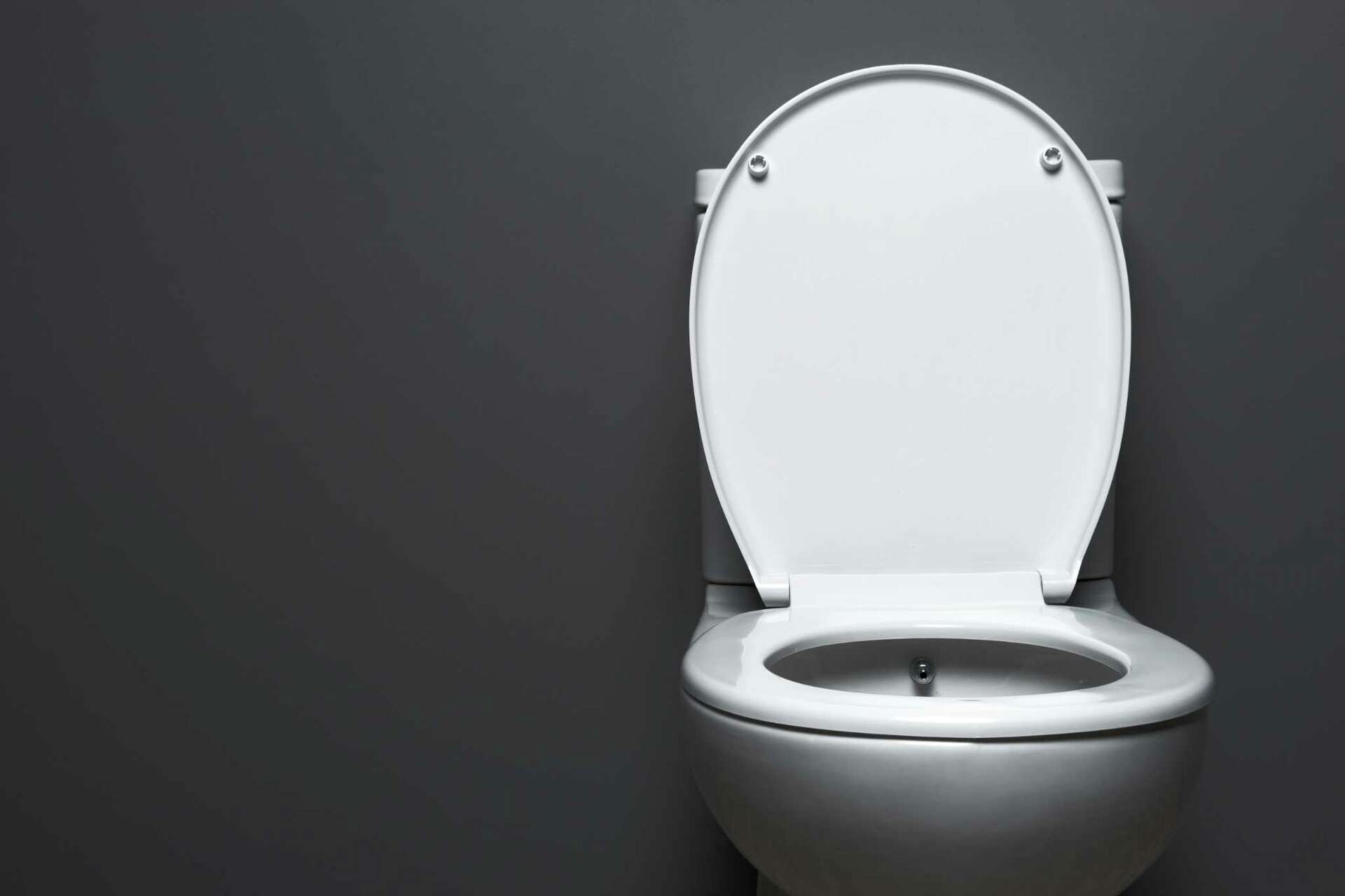 How to Prevent a Black Waterline in the Toilet
