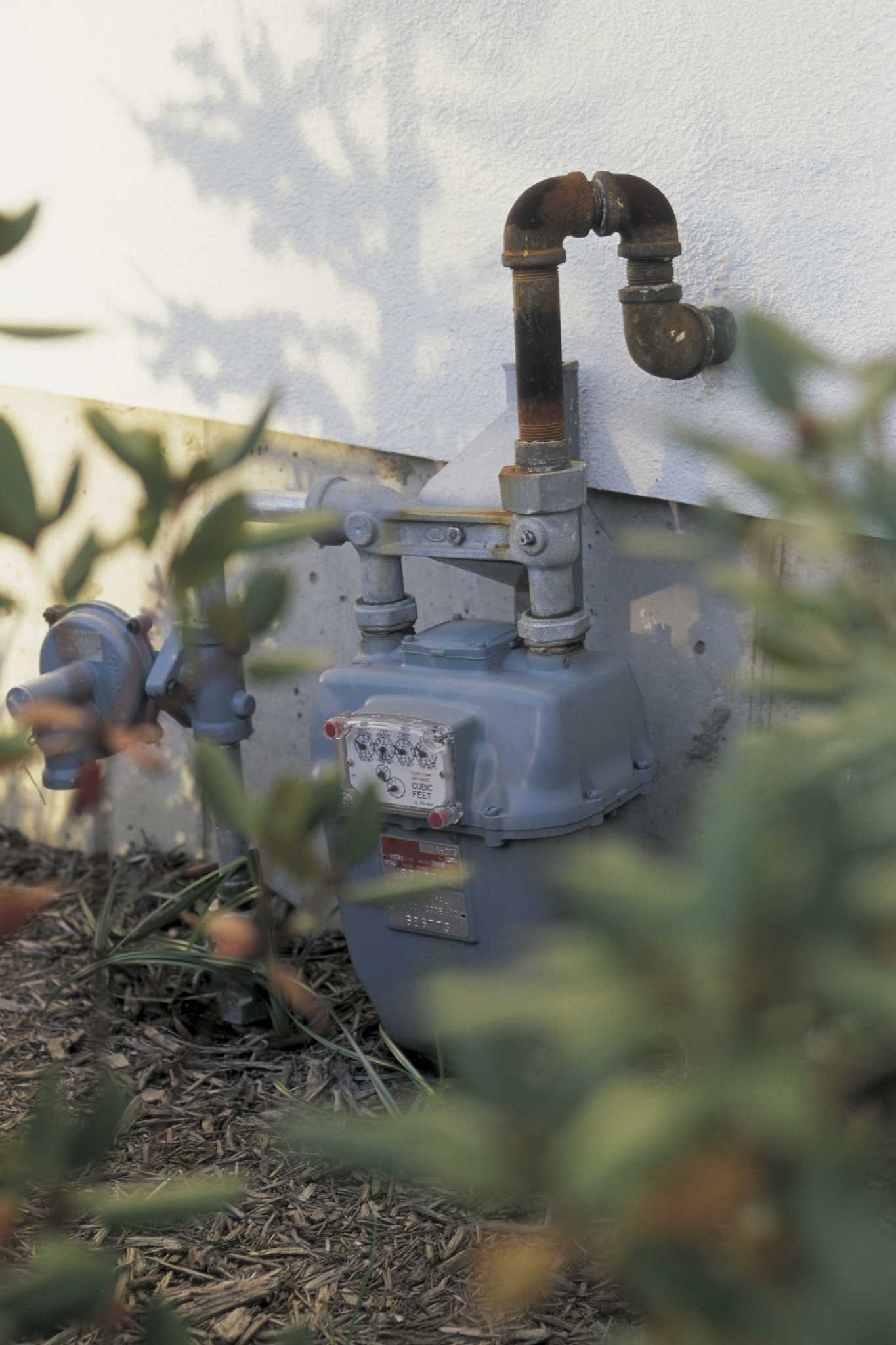 Planting Shrubs Around a Gas Meter