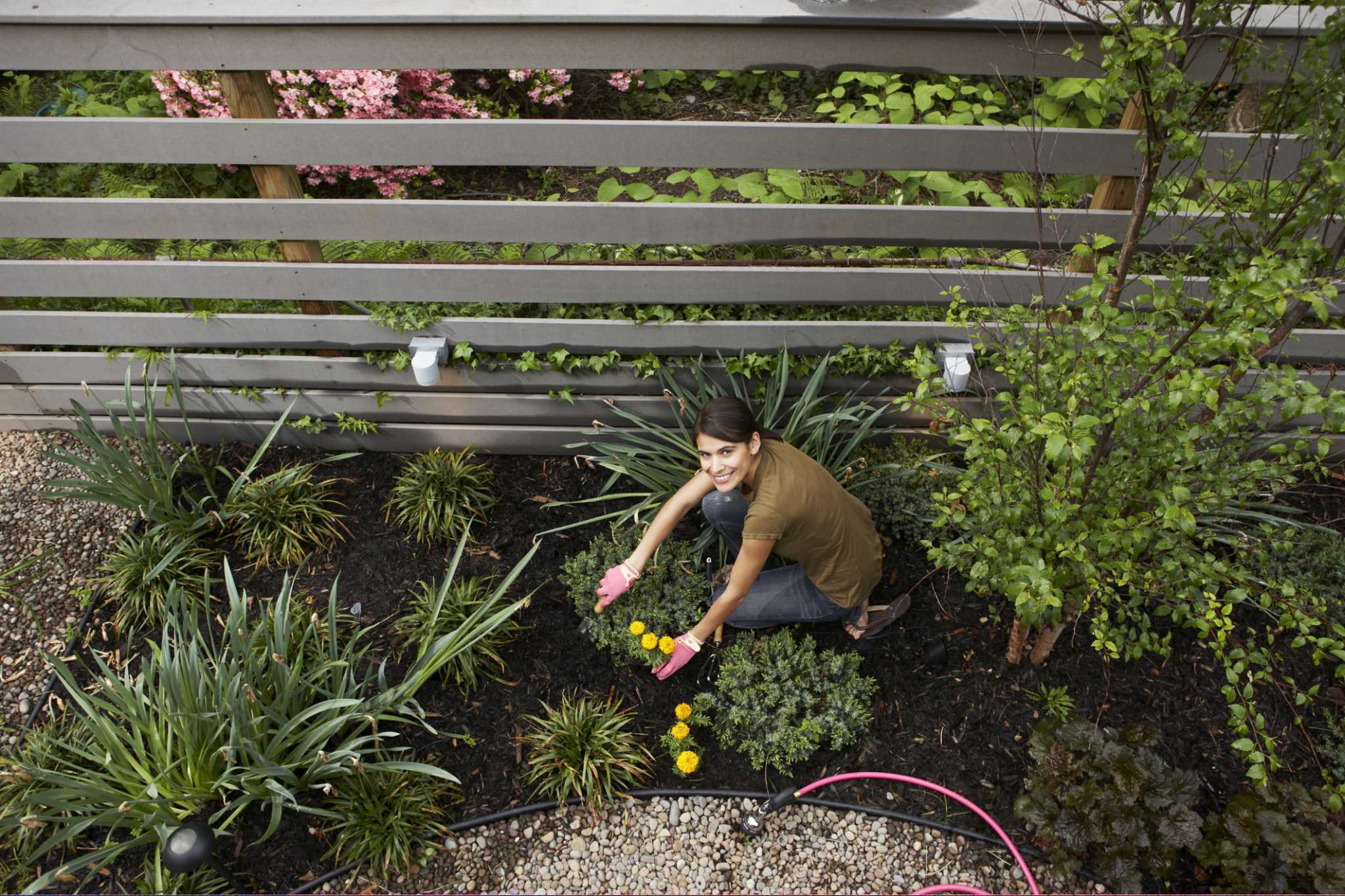 How to Plant Liriope in Diagonal Rows