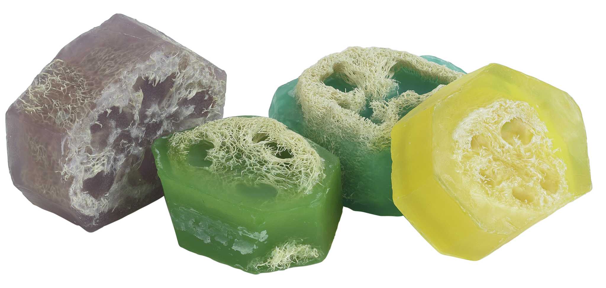 How to Plant a Luffa