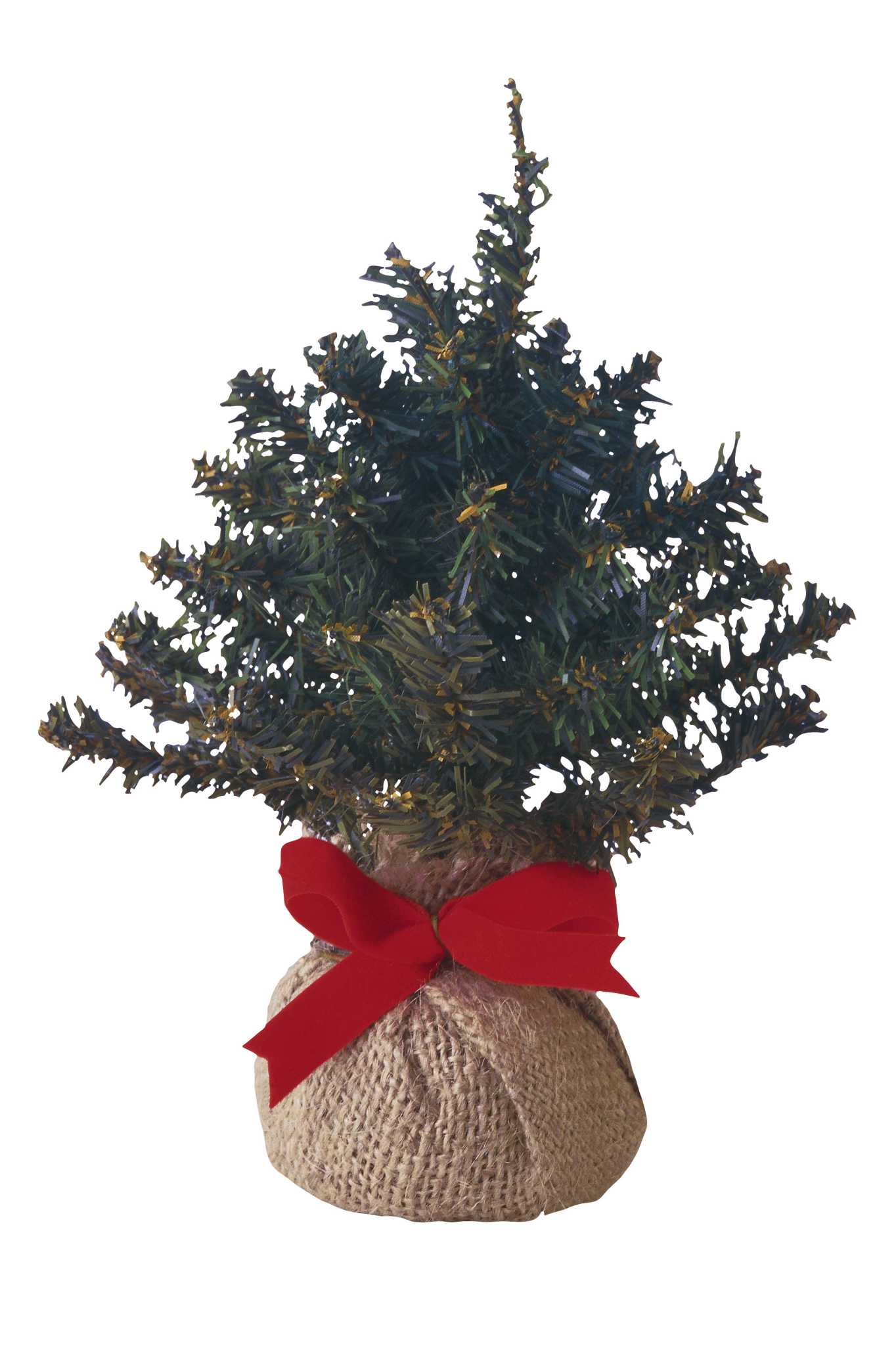 how-to-uproot-a-tree-without-killing-it