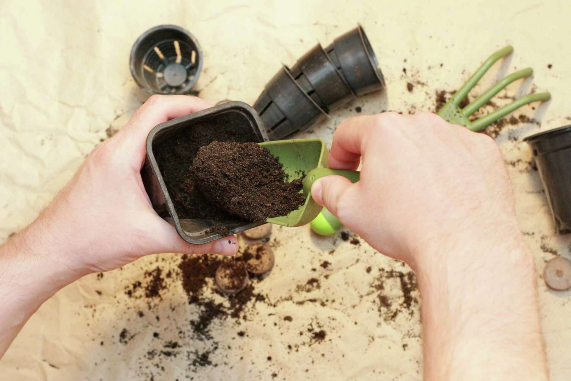 How to Use Alaska Fish Fertilizer 5-1-1