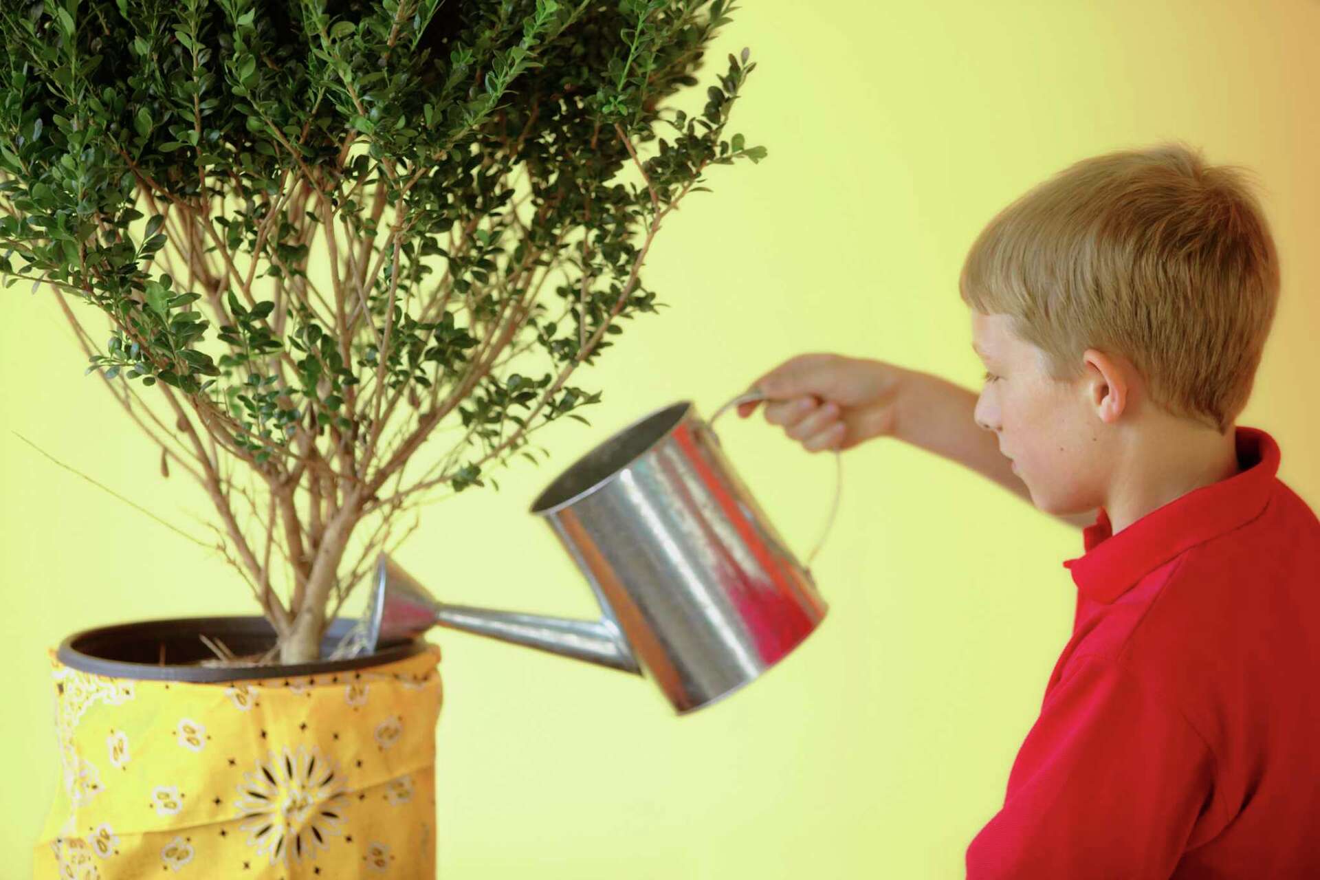 How to Use Grey Water for Lawn Irrigation