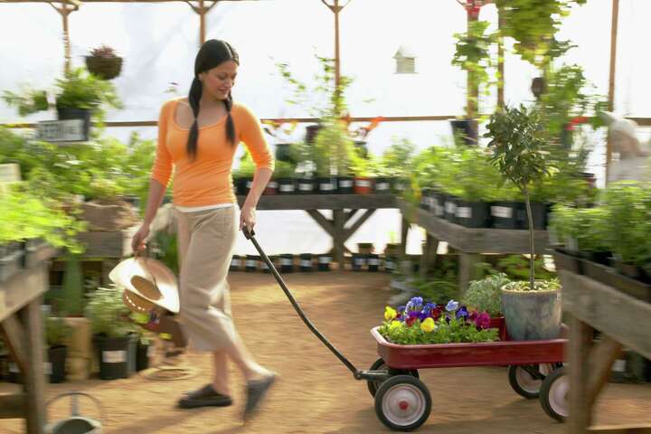 Plants to Pair With Silver Mounds