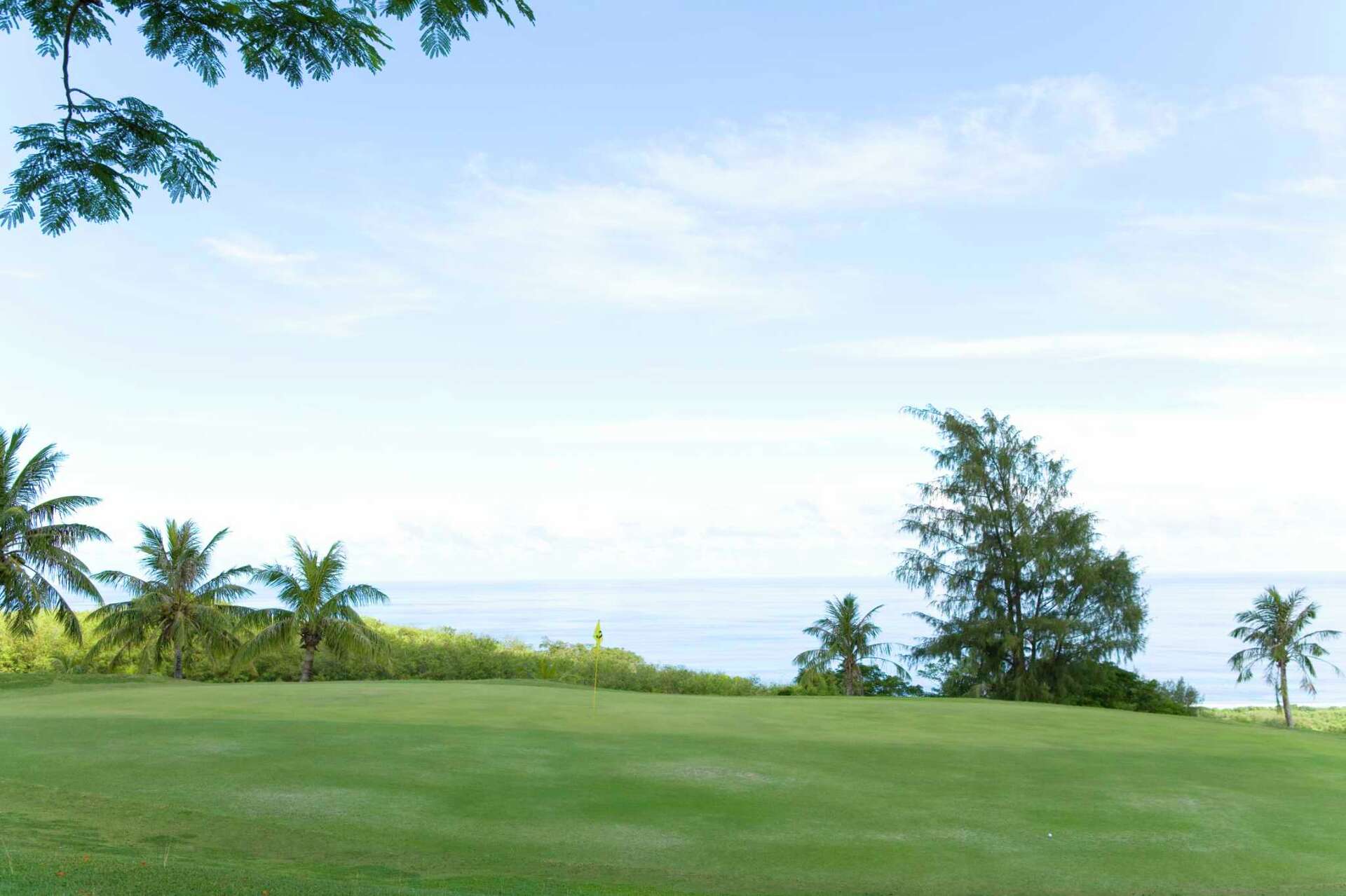 When to Use Lesco Lawn Food in the Spring