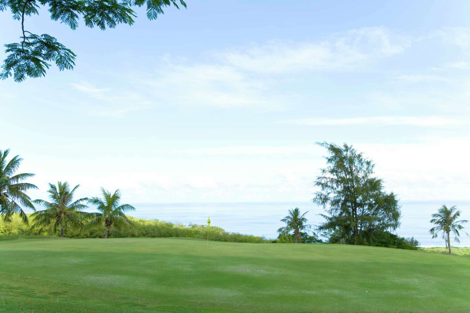 When to Use Lesco Lawn Food in the Spring