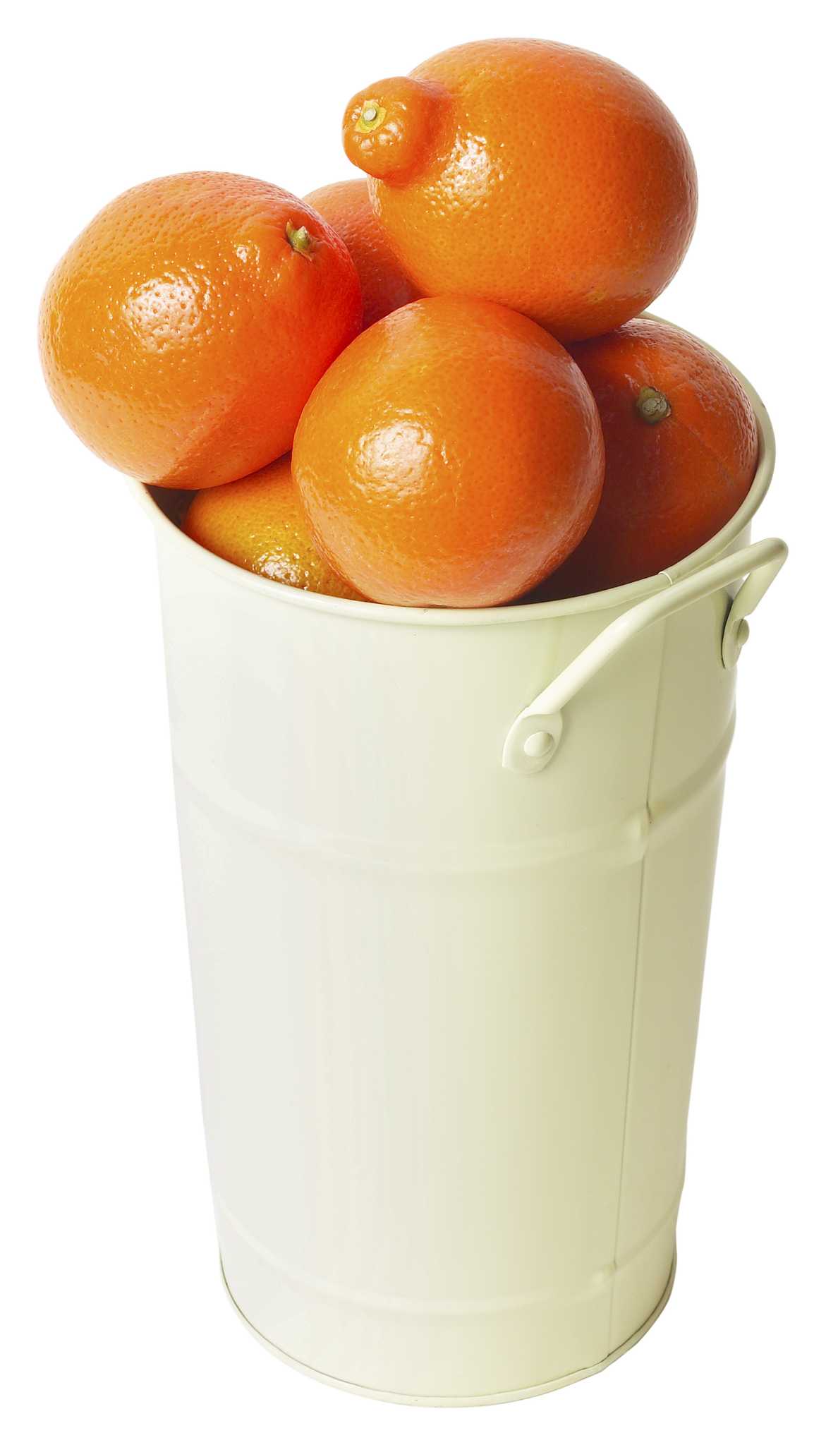 How To Plant Tangelos