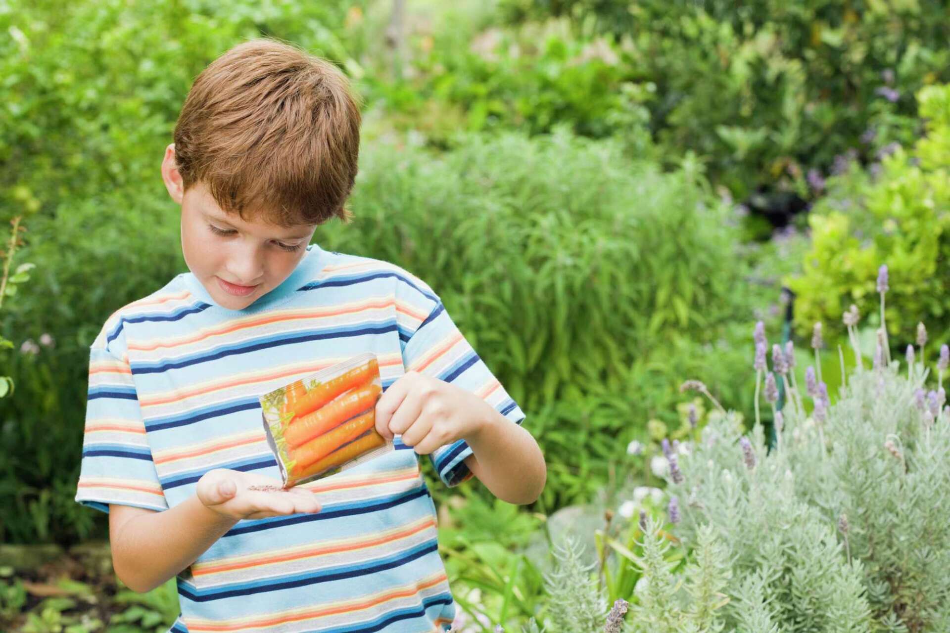 How to Plant Tiny Seeds